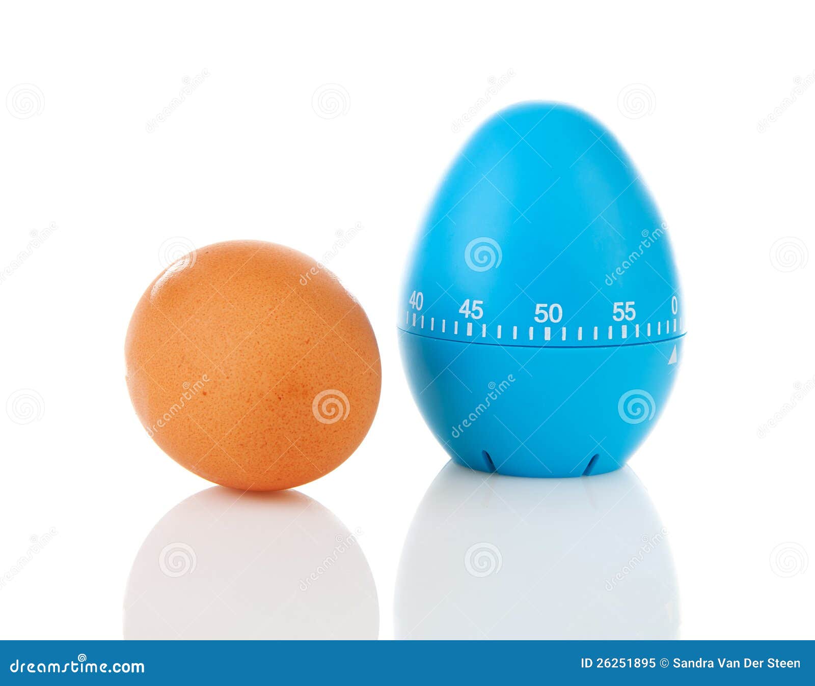 Chicken Egg with Blue Timer Stock Image - Image of tool, equipment ...