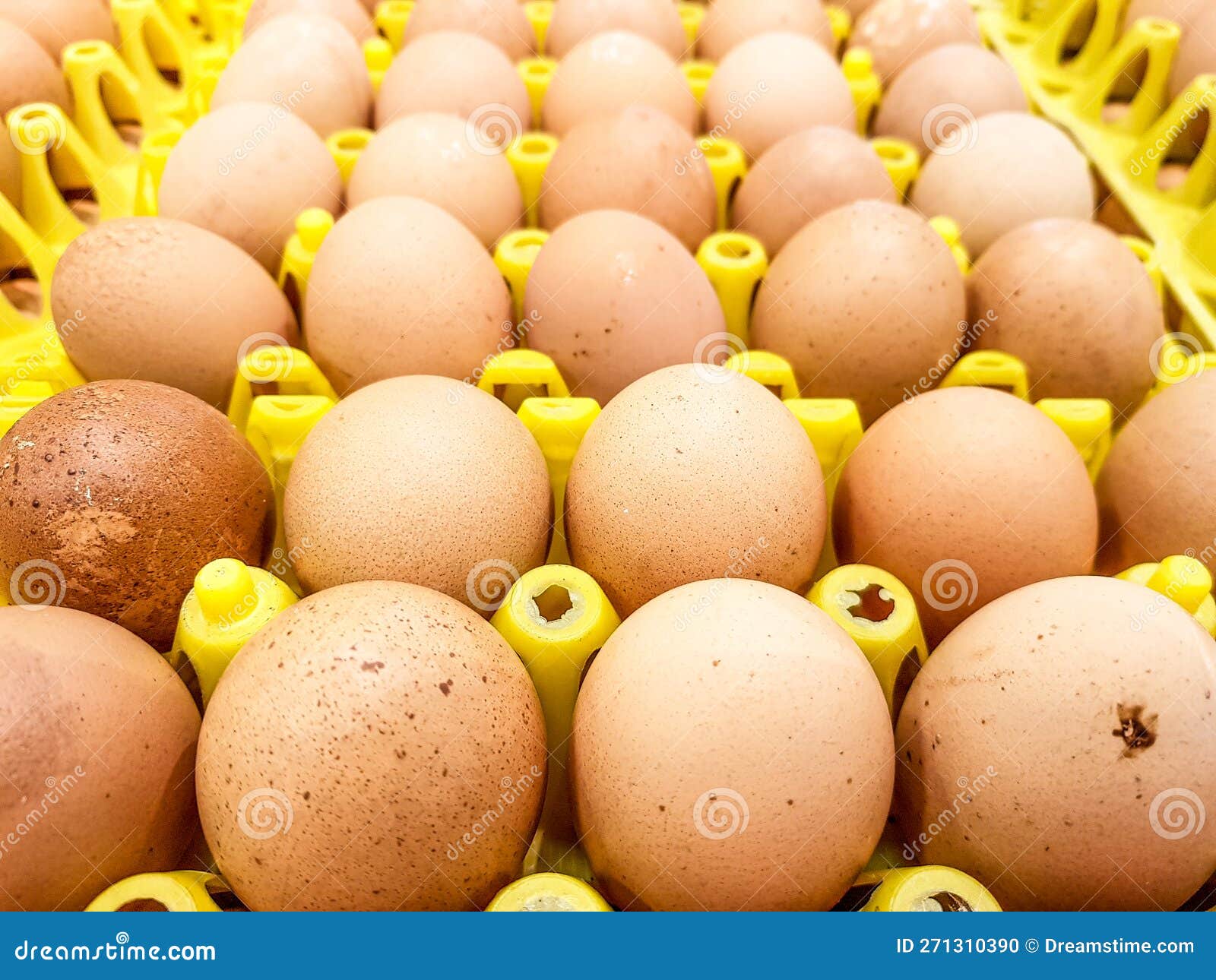 Close Up View Chicken Egg in Carton Box Stock Photo - Image of ...