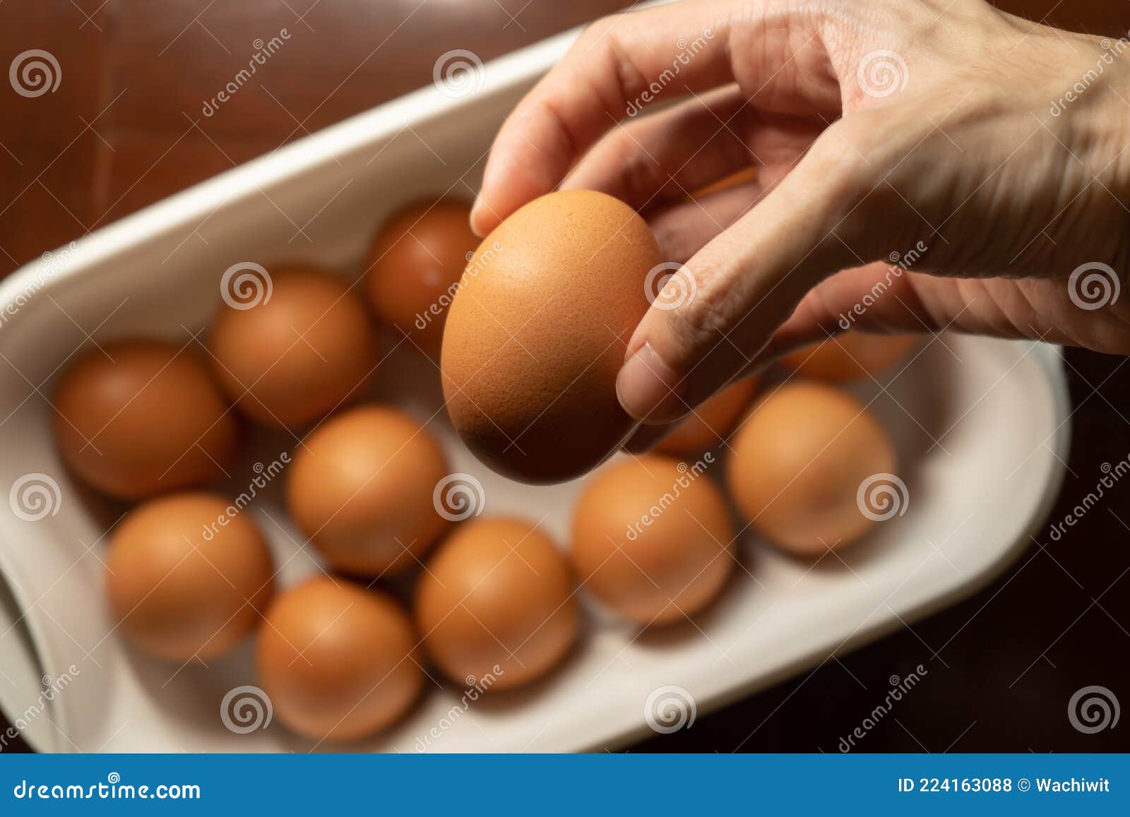 Chicken egg in a hand stock photo. Image of ingredient - 224163088