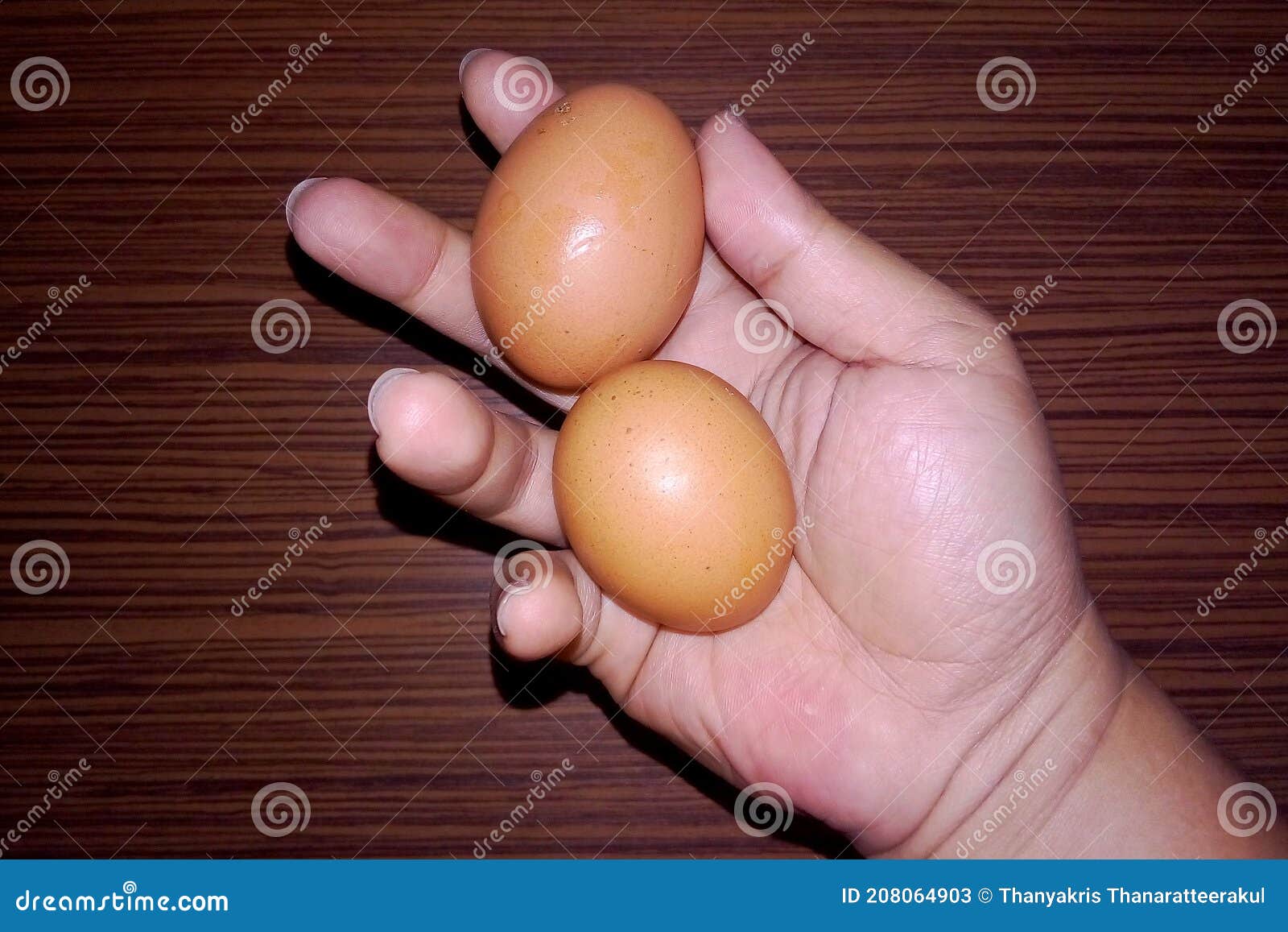 Hand With Eggs Royalty-Free Stock Photography | CartoonDealer.com ...