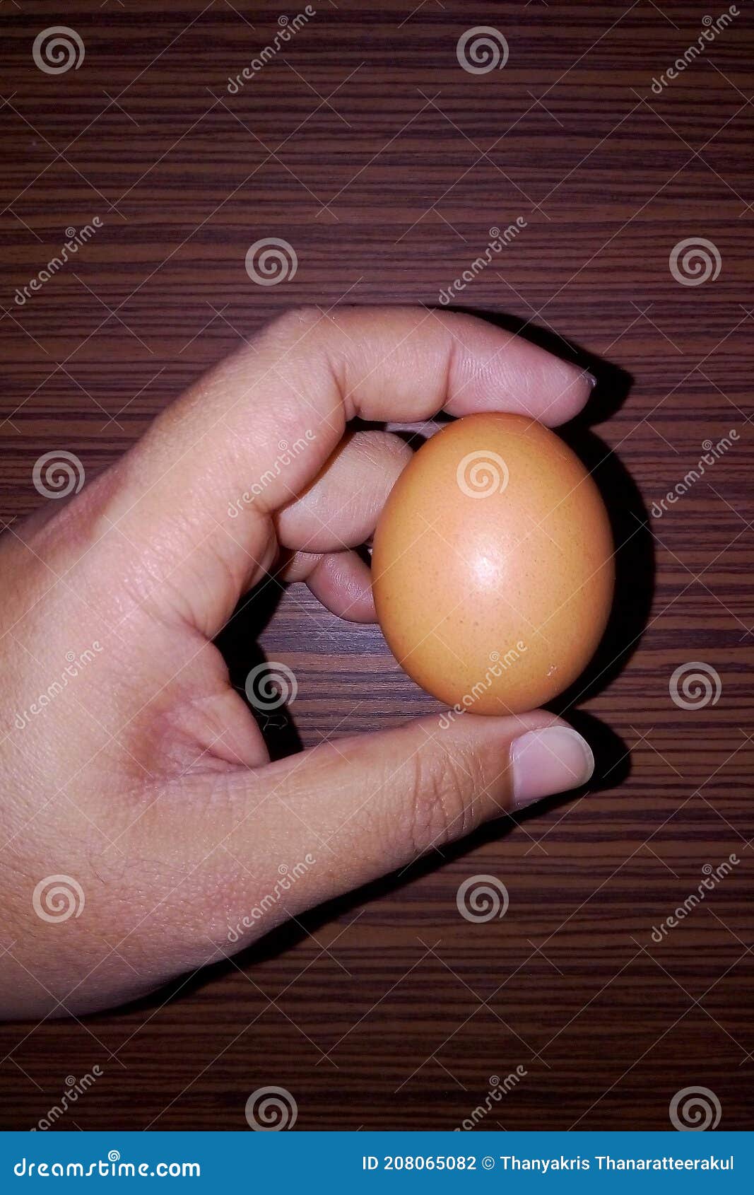 Hand With Eggs Royalty-Free Stock Photography | CartoonDealer.com ...