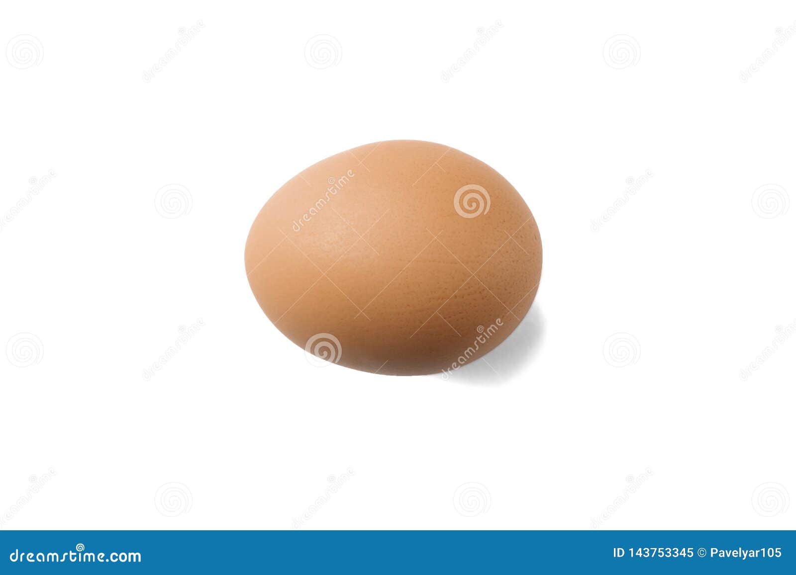 Chicken Egg in Horizontal Position Stock Image - Image of easter ...