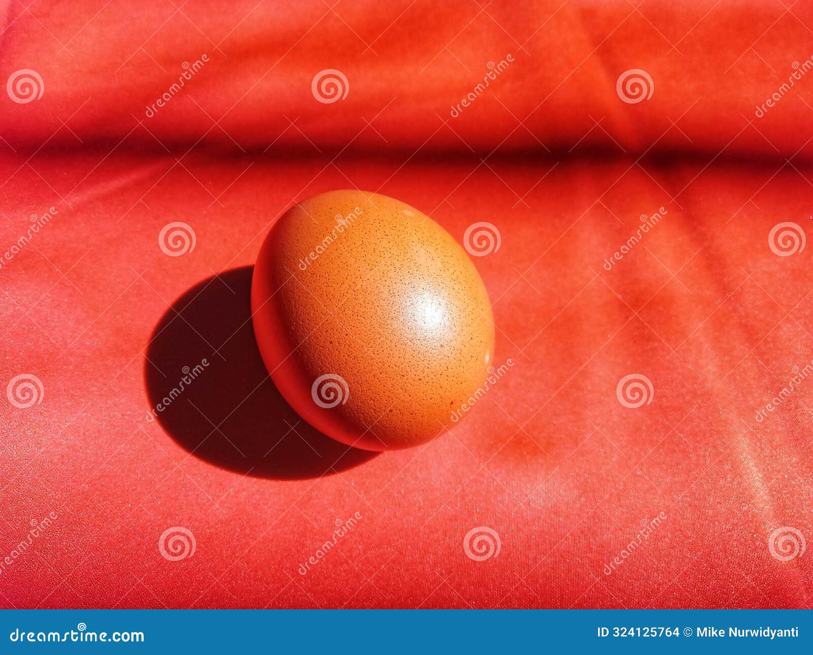 A Chicken Egg with Orange Background and Its Shadow Stock Photo - Image ...