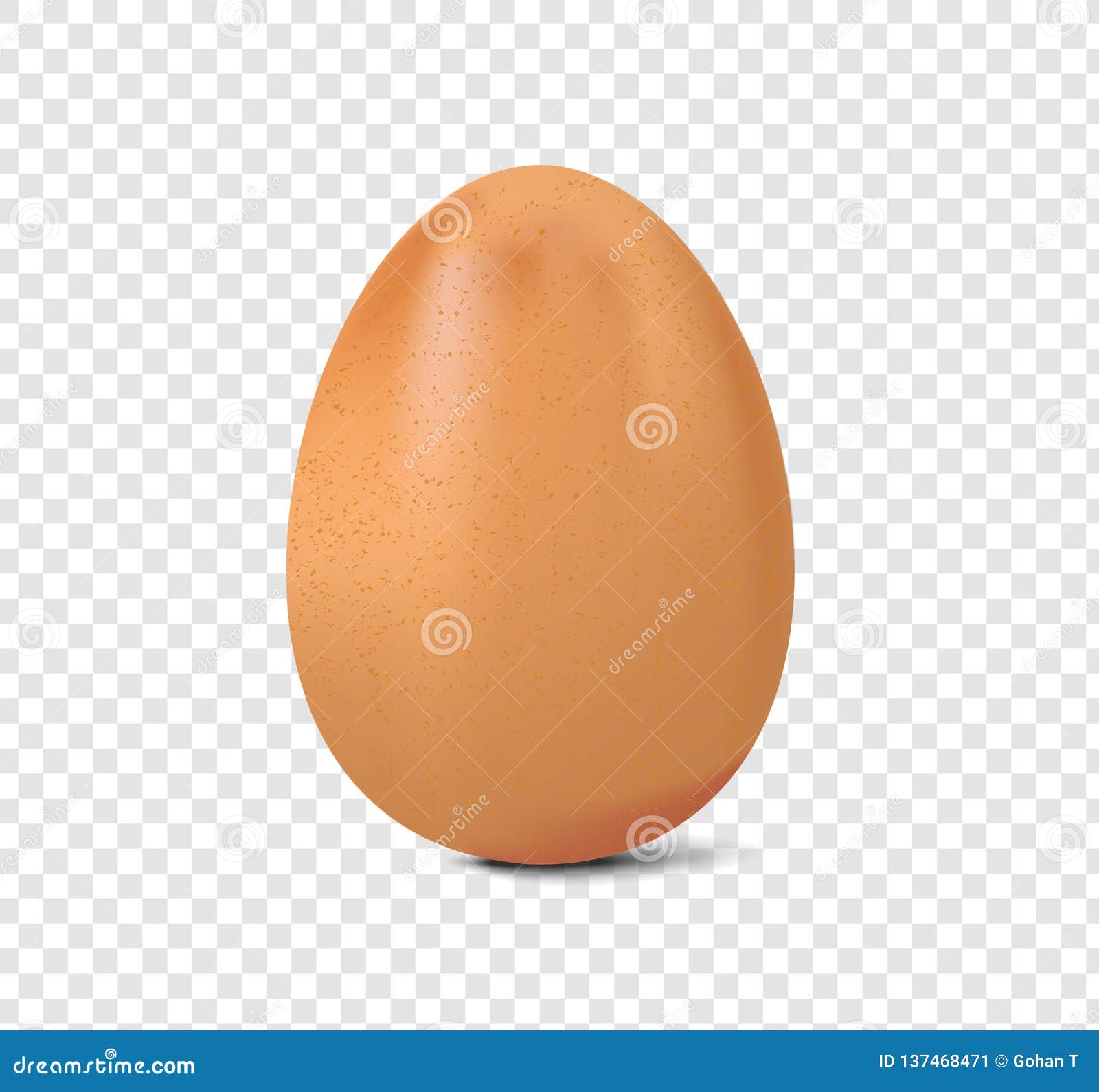Chicken Egg Oval Shape on Transparent Background Stock Vector ...