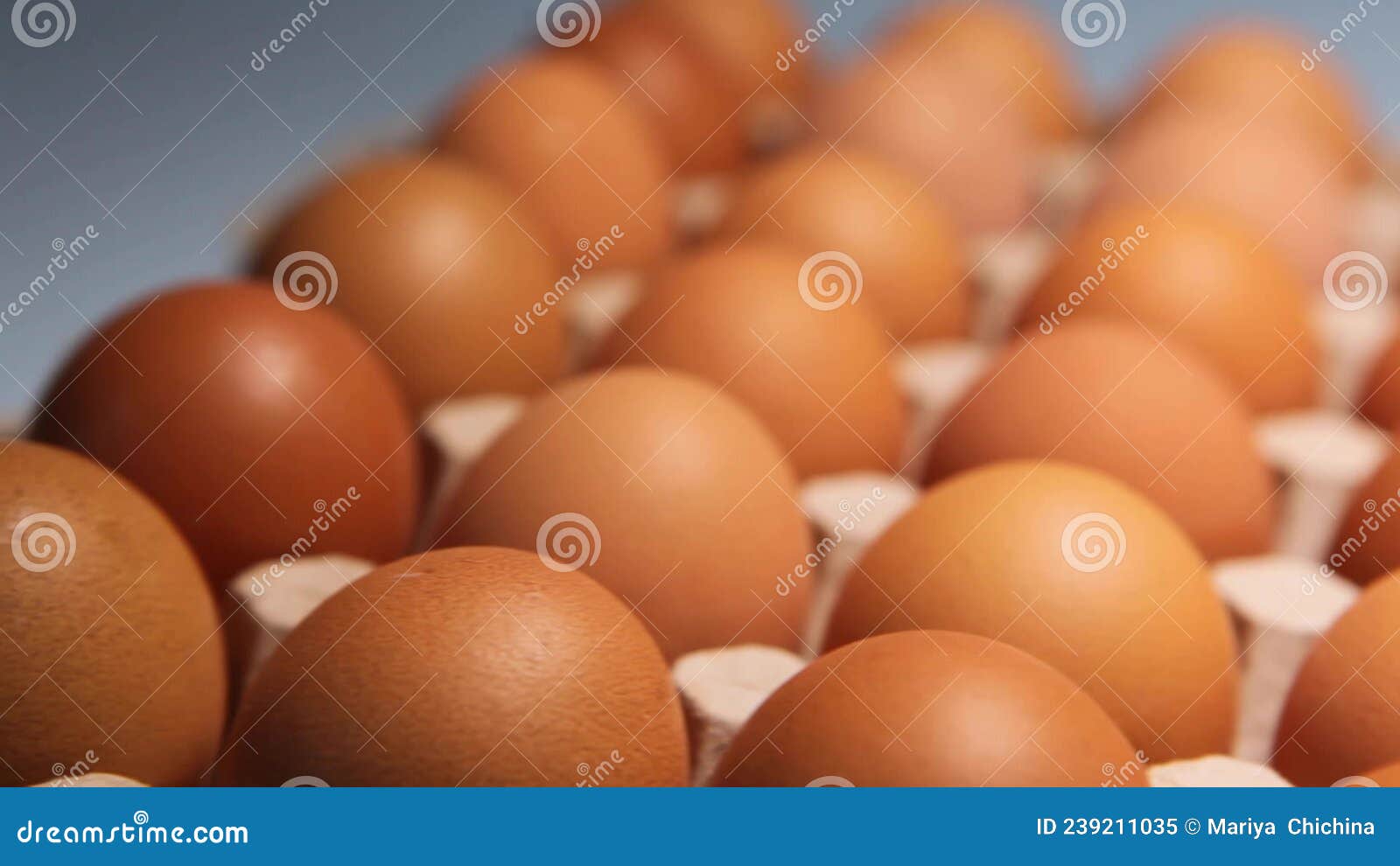 Chicken Egg Packaging on a Blue Background. Stock Video - Video of ...