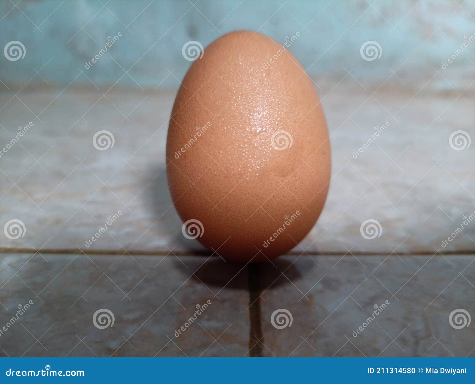 A Chicken Egg with an almost Perfect Shape Stock Photo - Image of shape ...