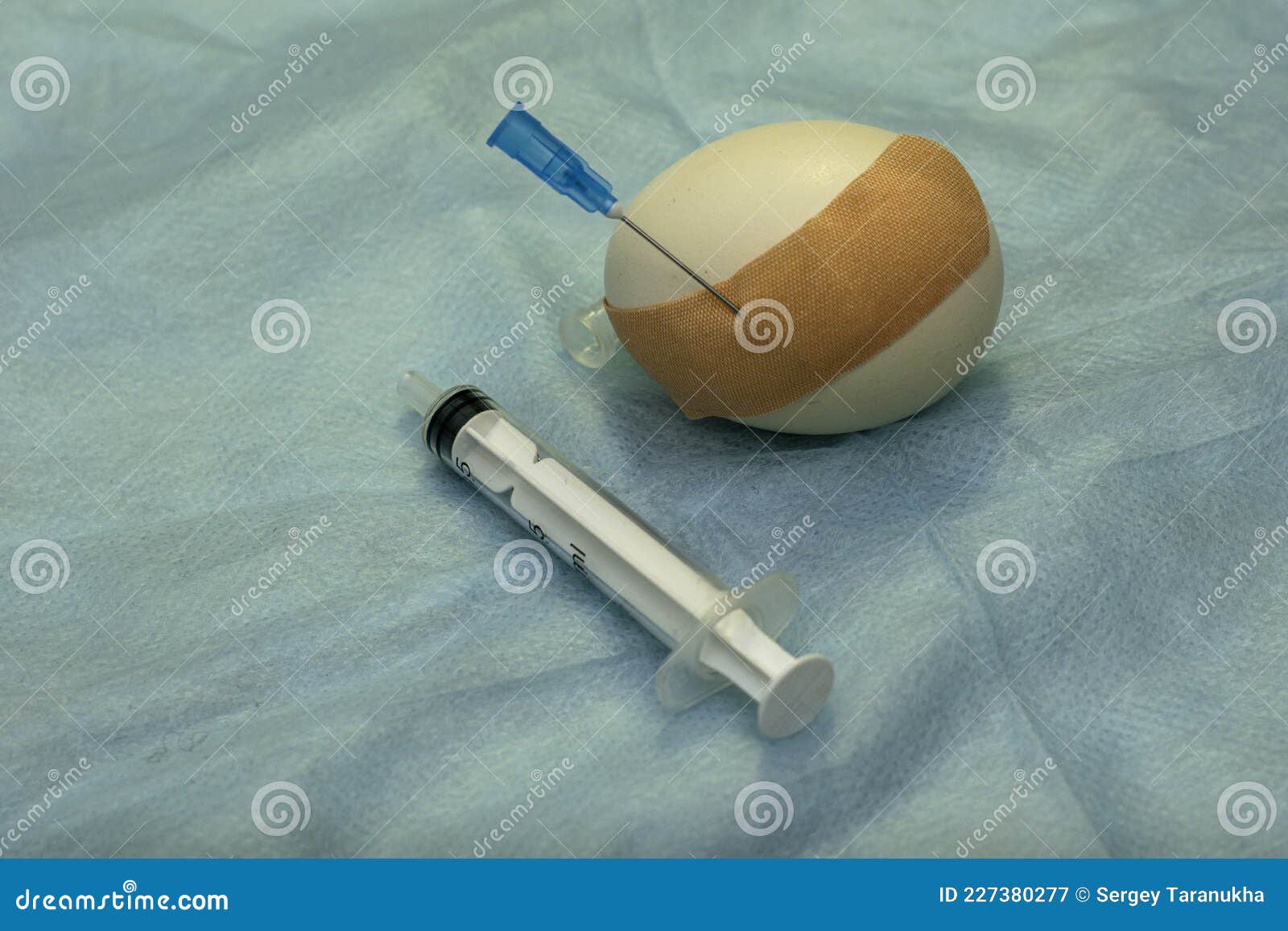 The Chicken Egg is Sealed with a Patch the Needle from the Syringe is ...