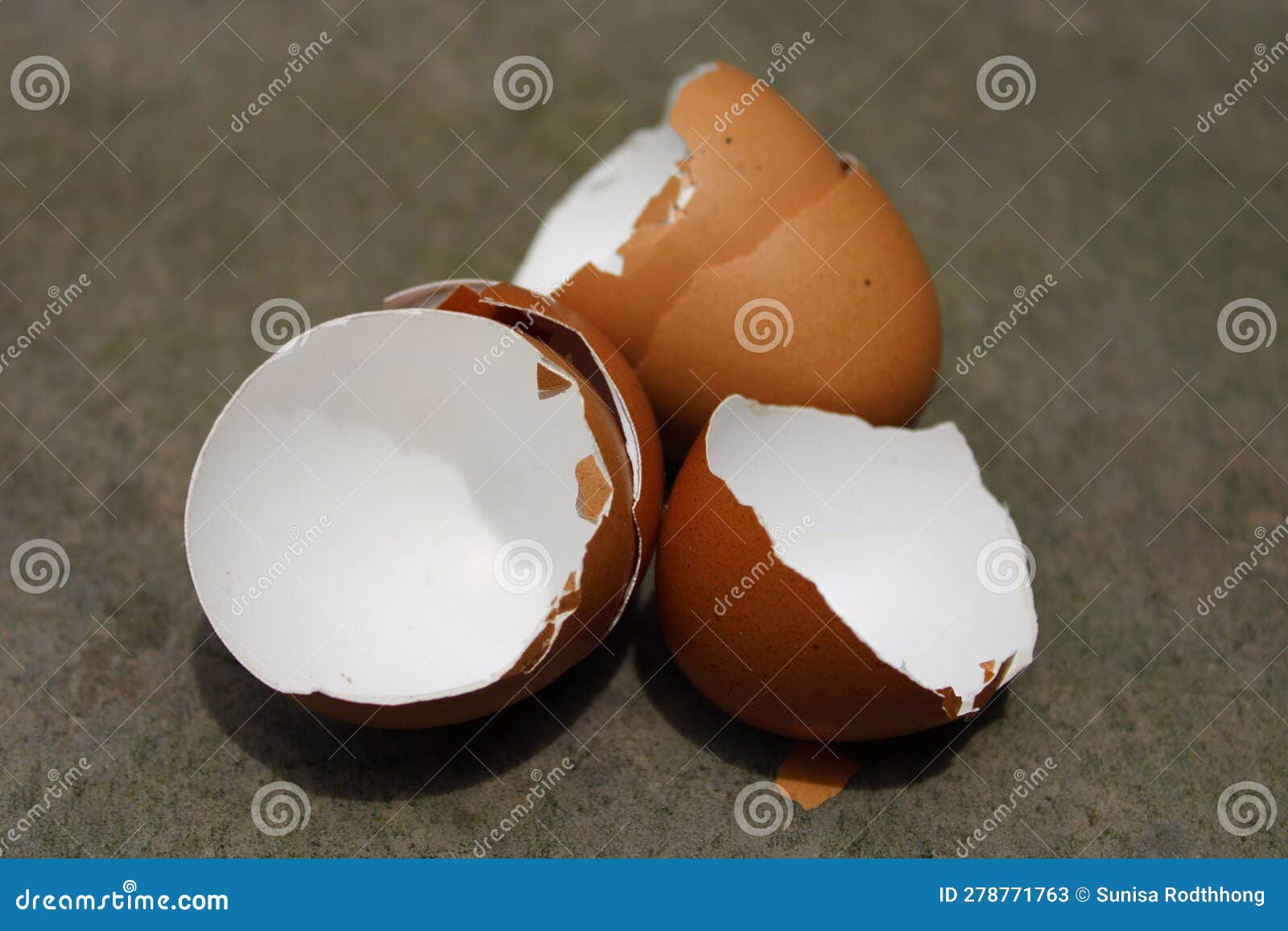 Chicken egg shell stock image. Image of natural, eggs - 278771763