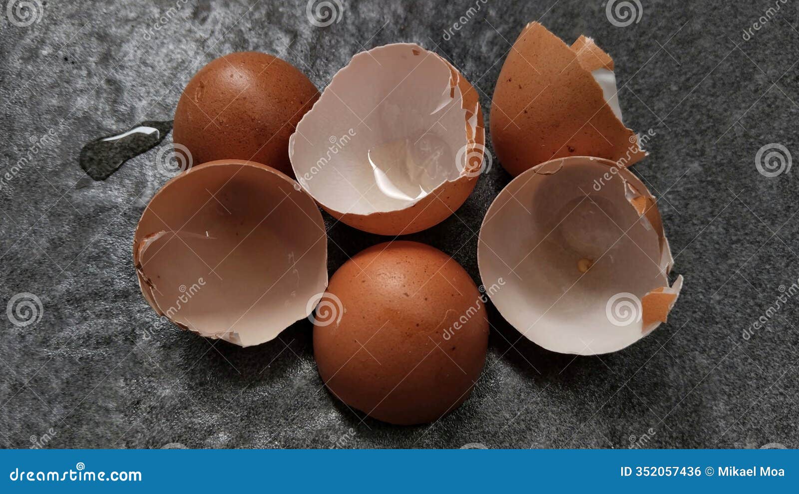 Chicken Egg Shell stock photo. Image of shell, protect - 352057436