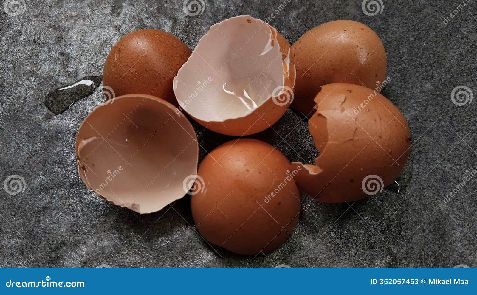Chicken Egg Shell stock image. Image of shell, damage - 352057453
