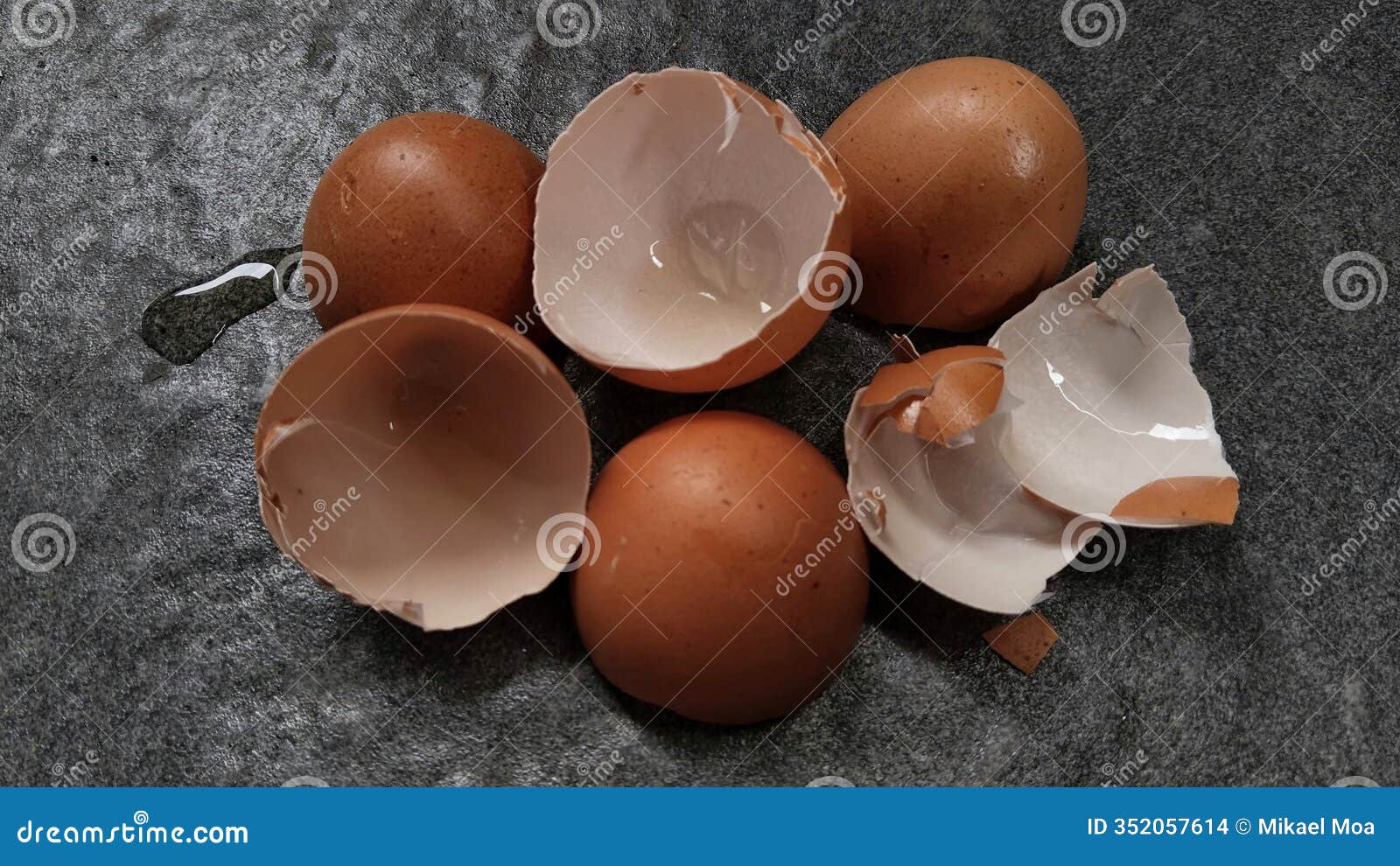 Chicken Egg Shell stock photo. Image of shell, chicken - 352057614