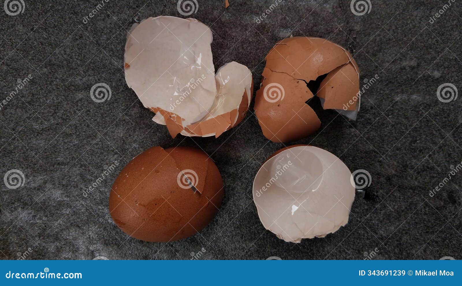 Chicken Egg Shell stock image. Image of shell, layer - 343691239