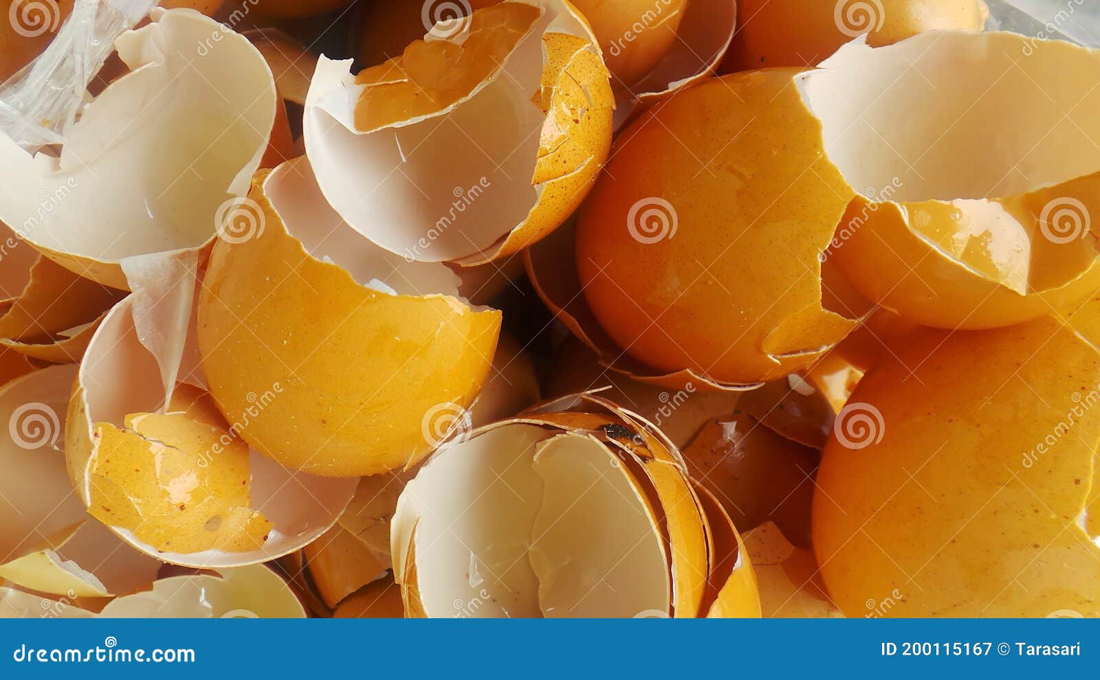 Chicken Egg Shell Fragments. Brown and White Inside Stock Image - Image ...