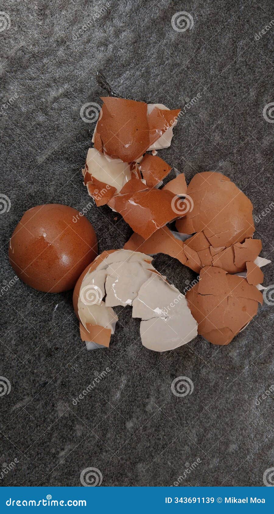 Chicken Egg Shell stock image. Image of protect, shell - 343691139