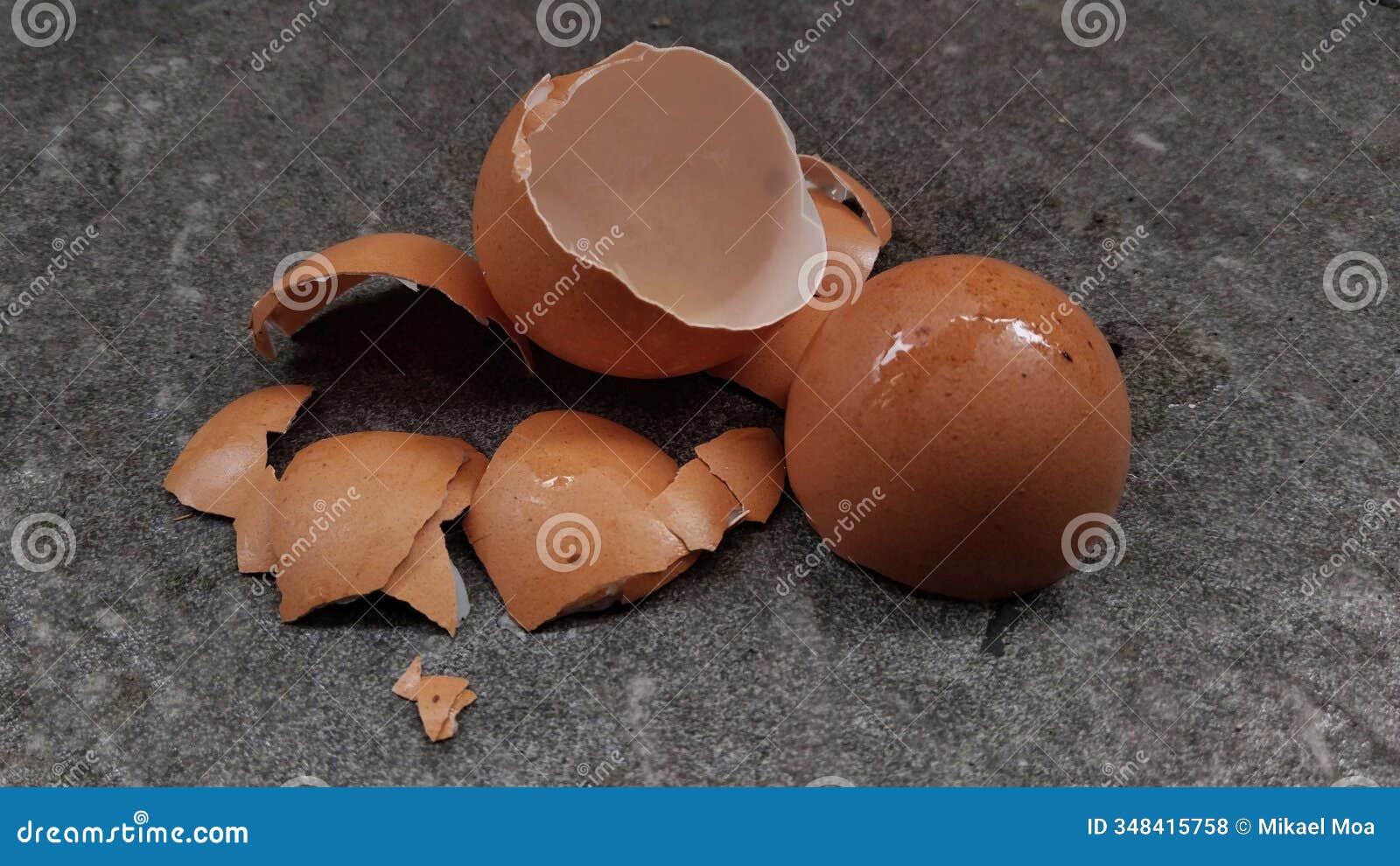 Chicken Egg Shell stock photo. Image of outer, protect - 348415758