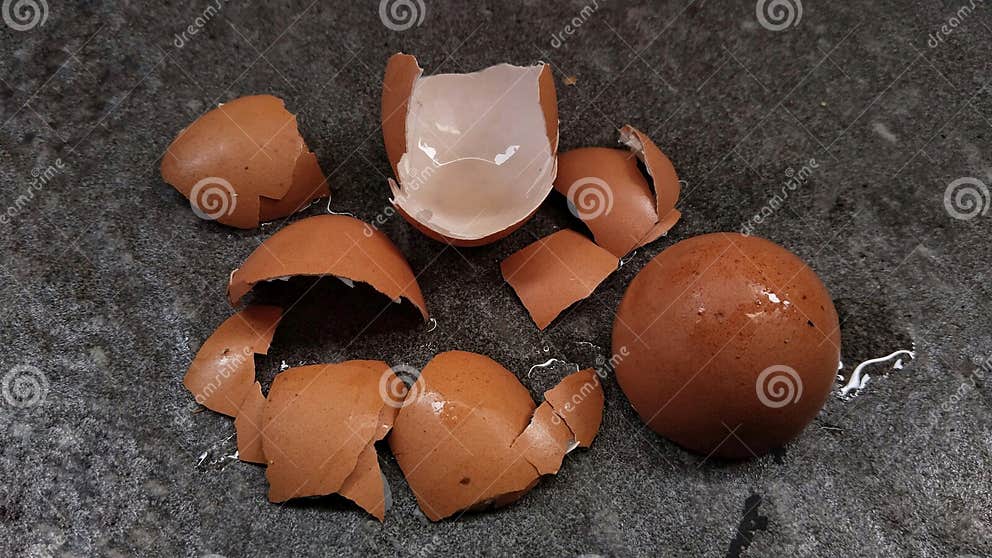 Chicken Egg Shell stock photo. Image of protein, carbonate - 348851284