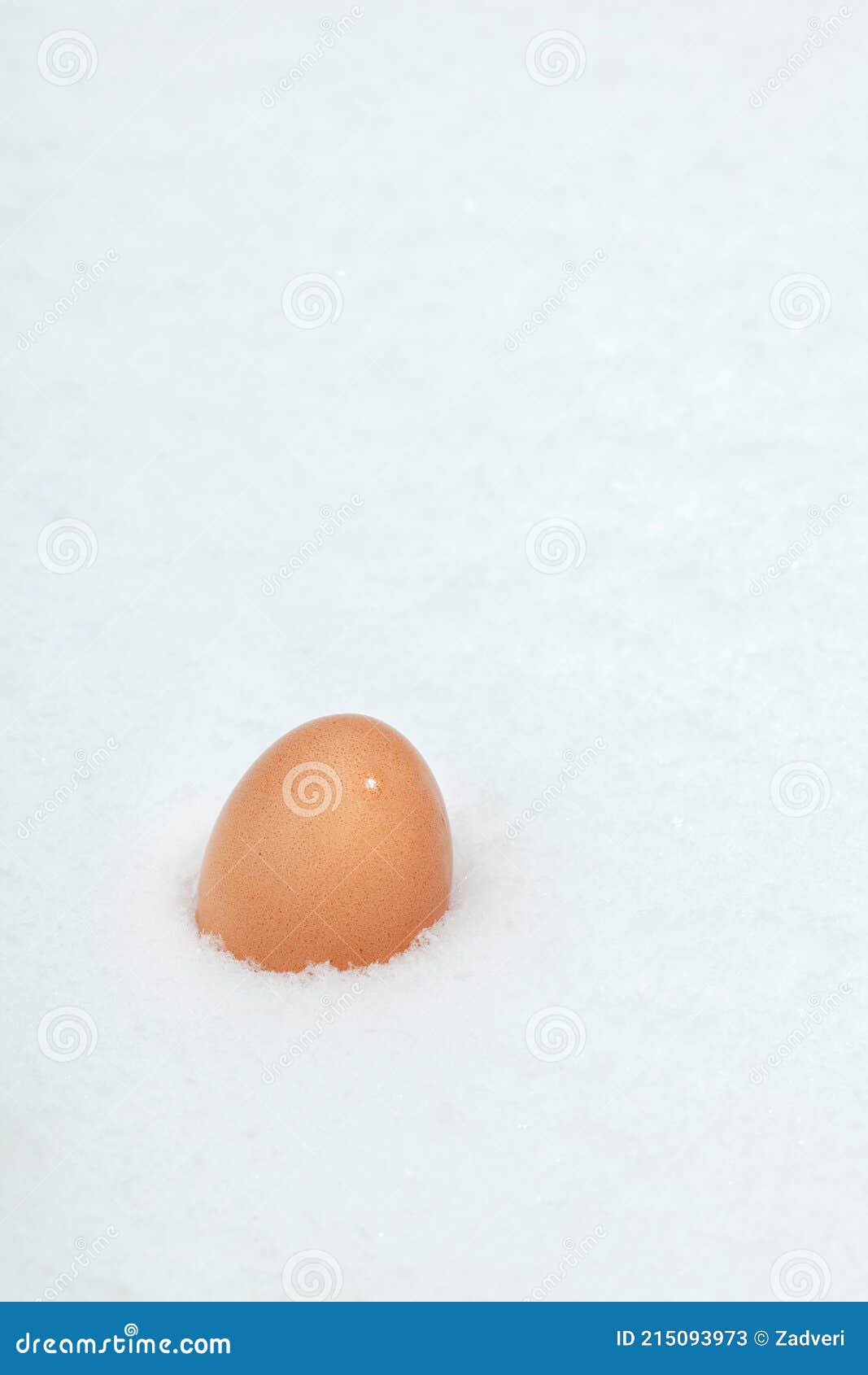 Chicken Egg in the Snow. a Modern Composition about Village Life Stock ...