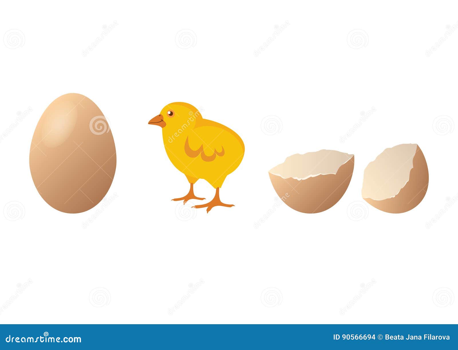 Chicken and egg vector stock vector. Illustration of isolated - 90566694
