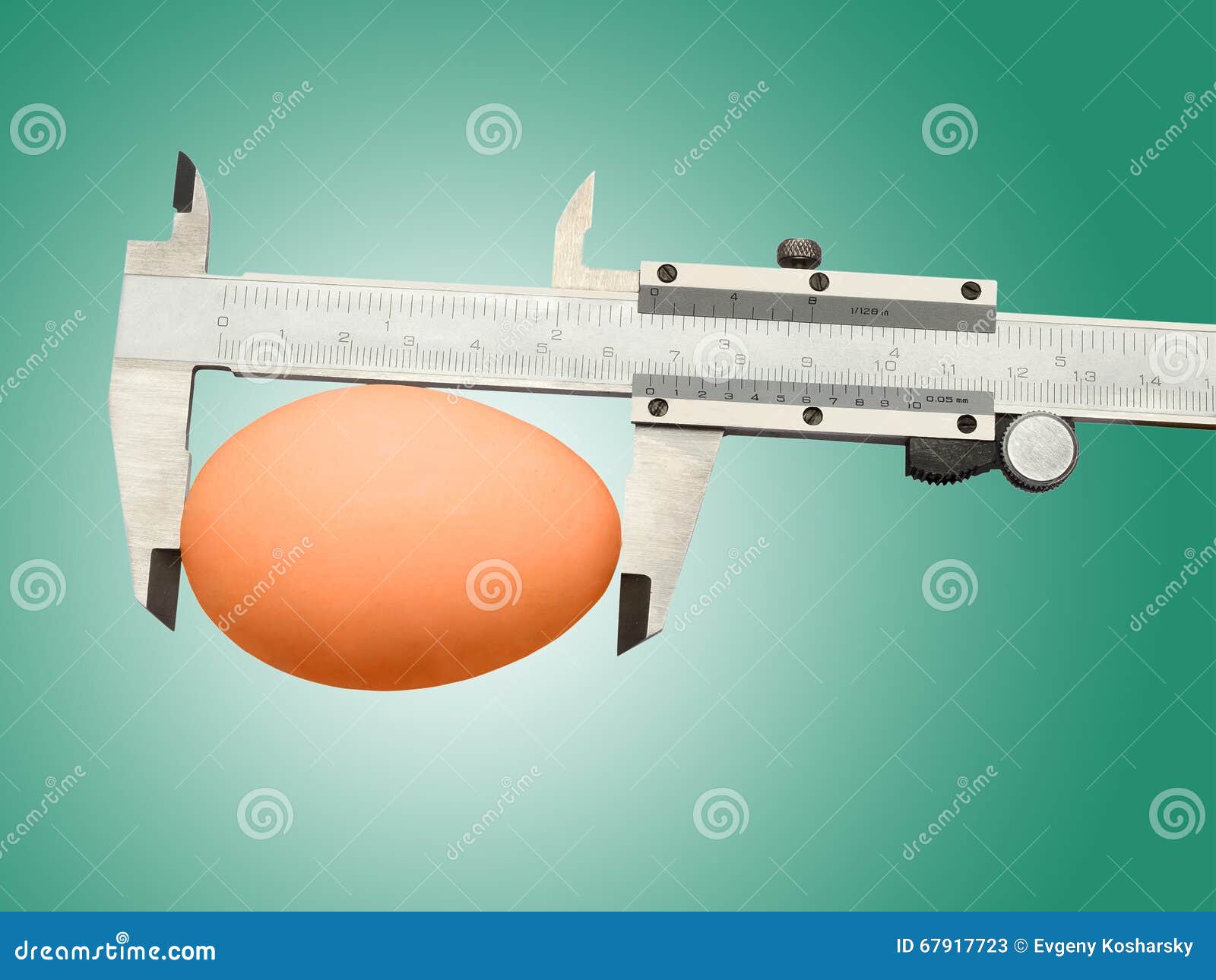 Chicken Egg in Vernier Caliper Stock Image - Image of fragility ...