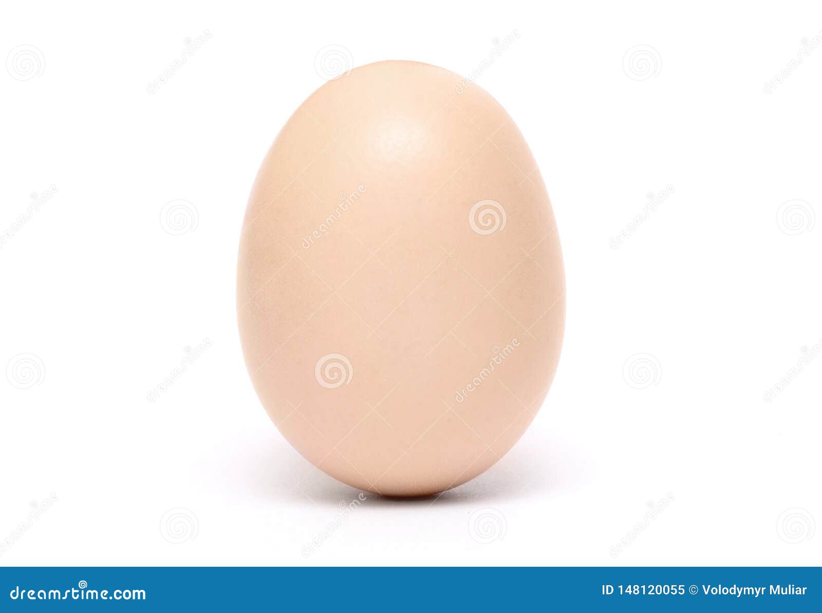 Chicken Egg in a Vertical Position on a White Isolated Background ...