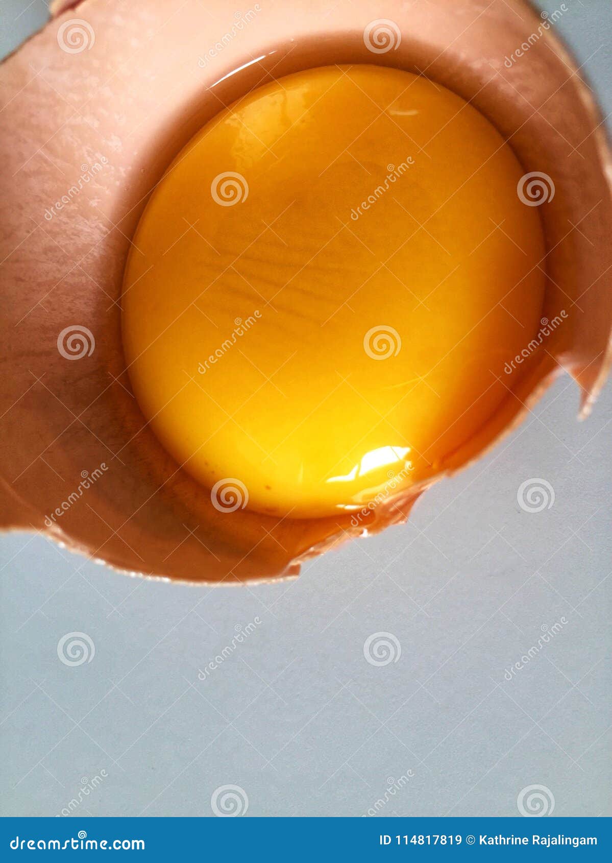 Chicken Egg Yolk stock image. Image of protein, health - 114817819