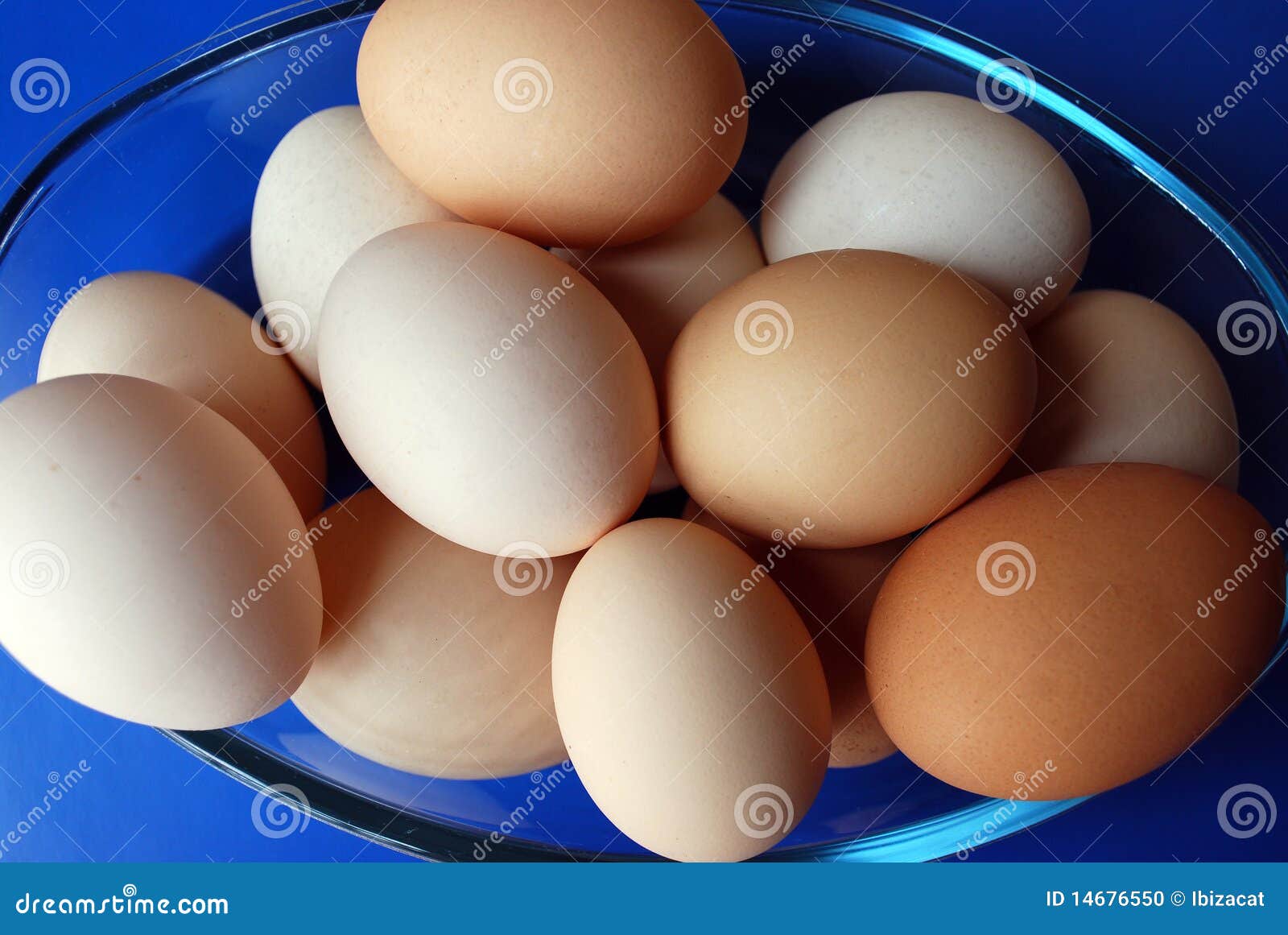 Chicken eggs stock photo. Image of chicken, health, eggshell - 14676550