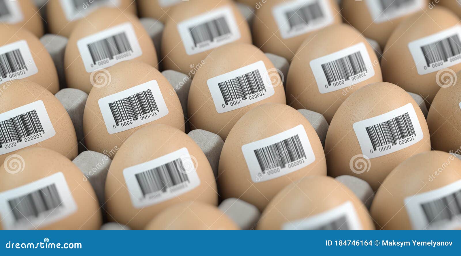 Chicken Eggs with Barcode Stickers. Quality Control Concept Stock ...