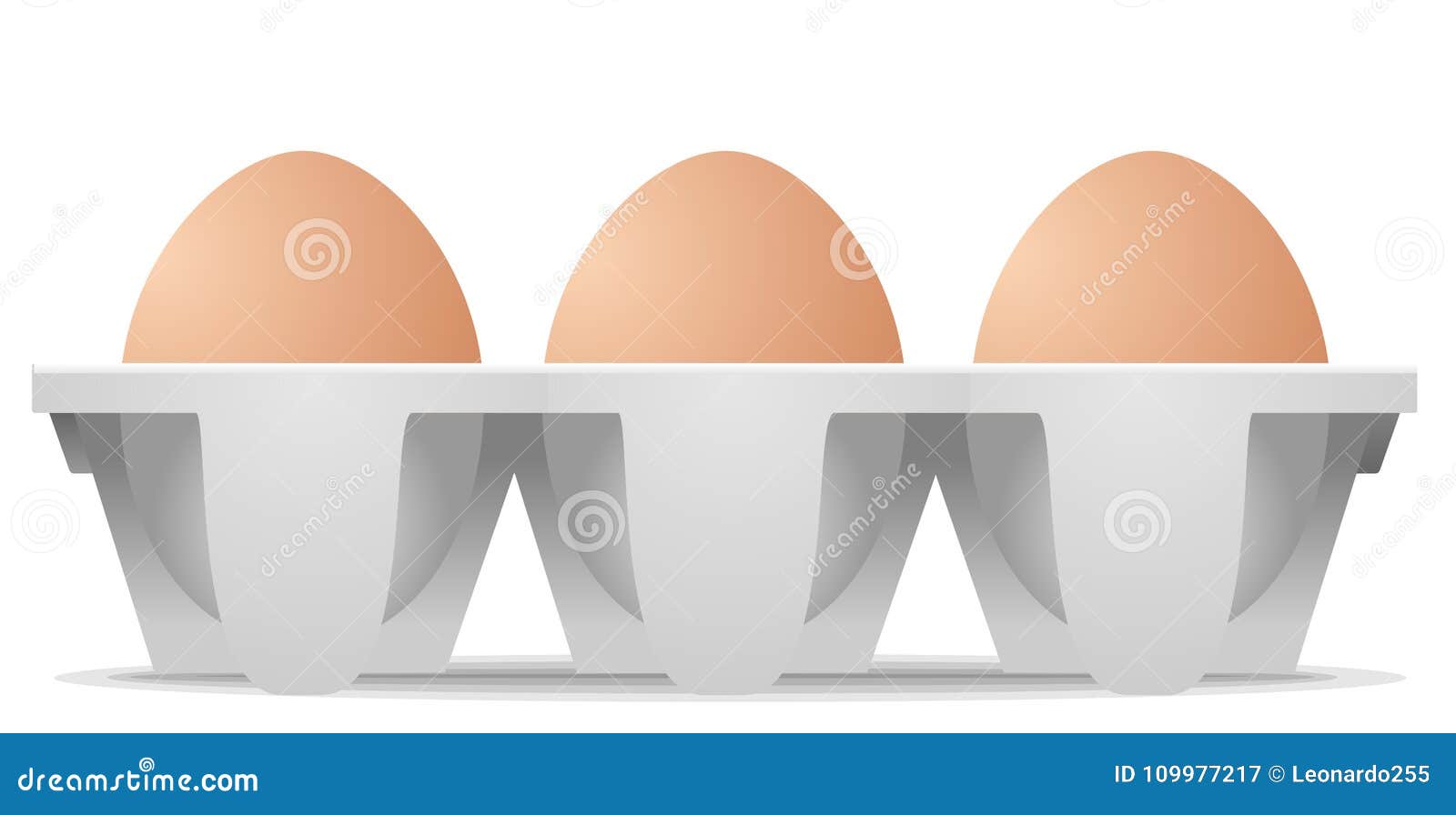 Chicken Eggs In Carton Egg Box Isolated On White Background. Cardboard ...