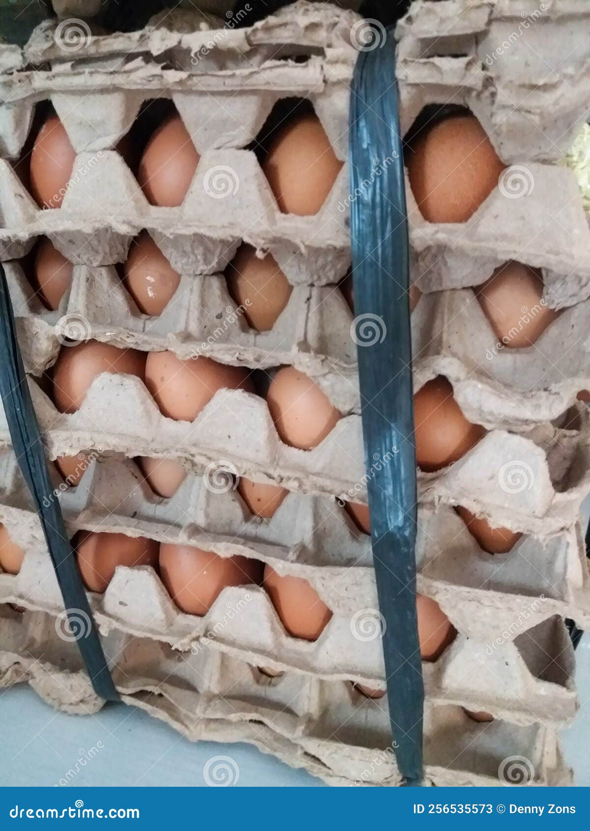 Chicken Eggs in an Egg Rack Stock Image - Image of hand, produce: 256535573