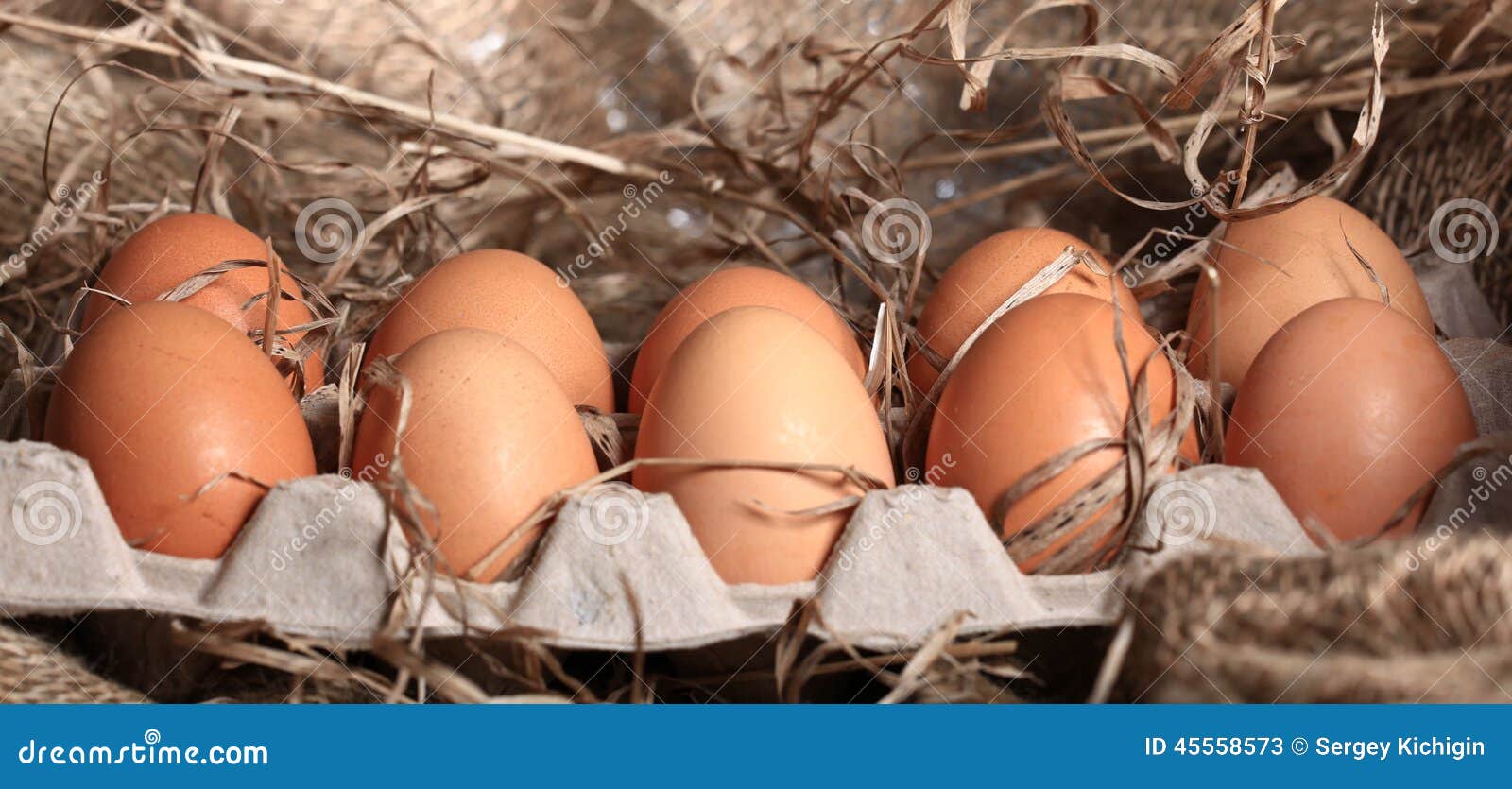 Chicken eggs on the farm stock image. Image of fresh - 45558573