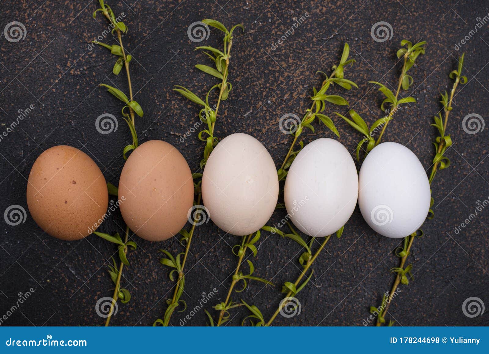Chicken Eggs Gradient from Light To Dark Stock Photo - Image of leaves ...