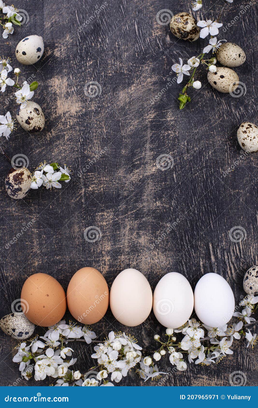 Chicken Eggs Gradient from Light To Dark Stock Image - Image of blossom ...