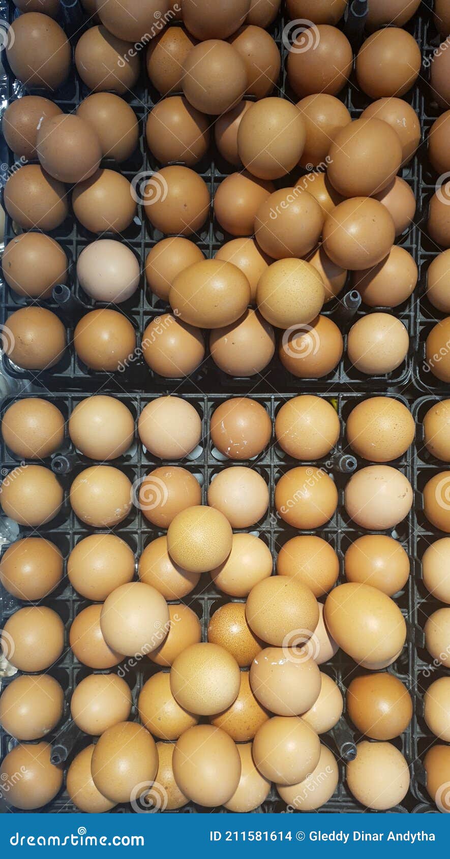 Chicken Eggs Ready for Sale in All Grocery Stores Stock Photo - Image ...