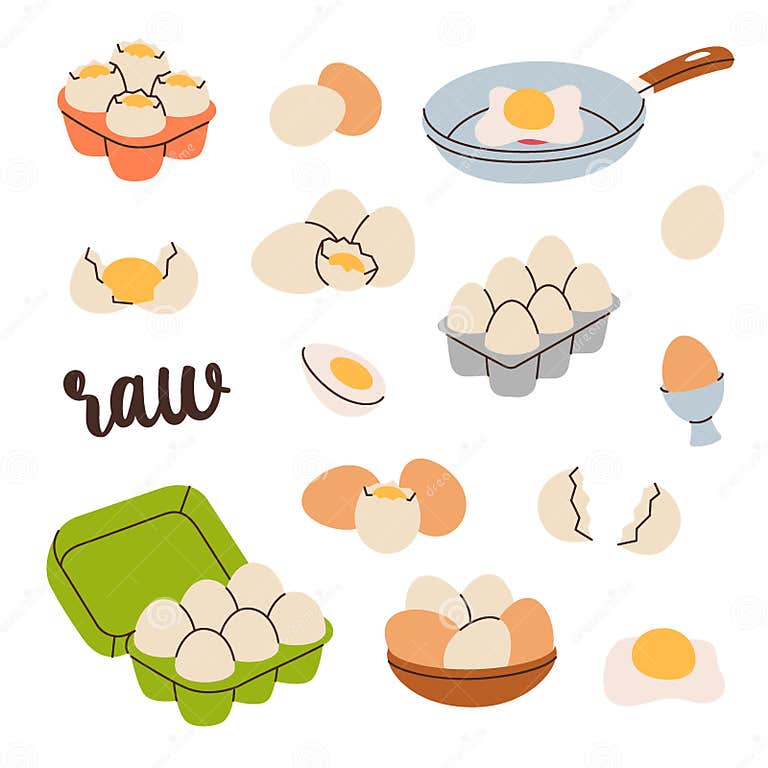 Chicken Eggs Set. Raw and Boiled Eggs, Broken Eggshells, Protein and Yolk Stock Vector ...