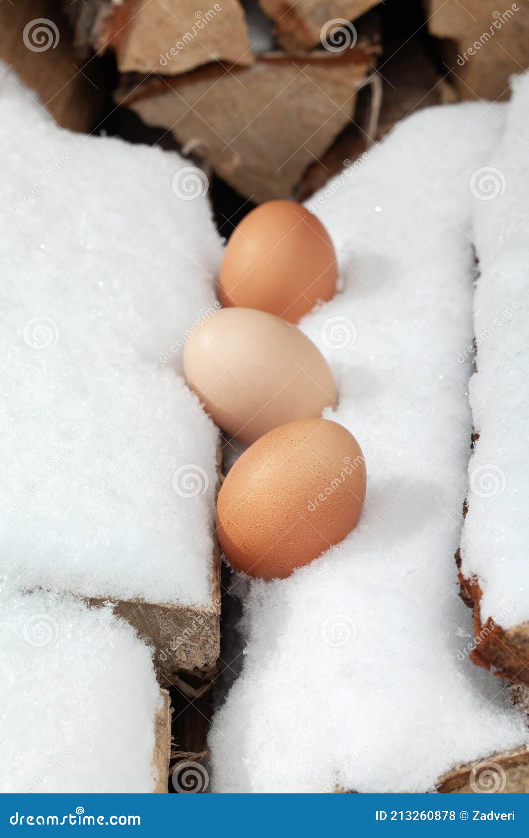 Chicken Eggs in the Snow. a Modern Composition about Village Life Stock ...