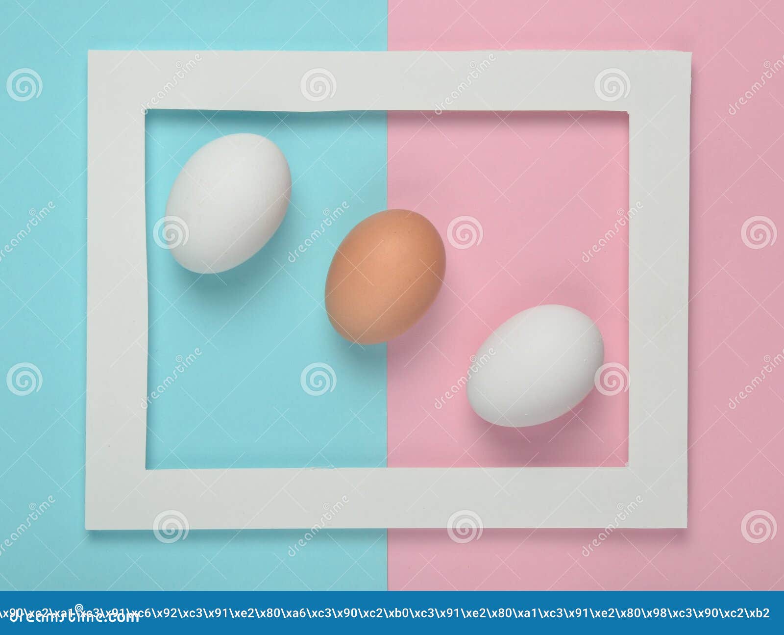 Chicken Eggs in a White Frame on a Colored Pastel Background ...