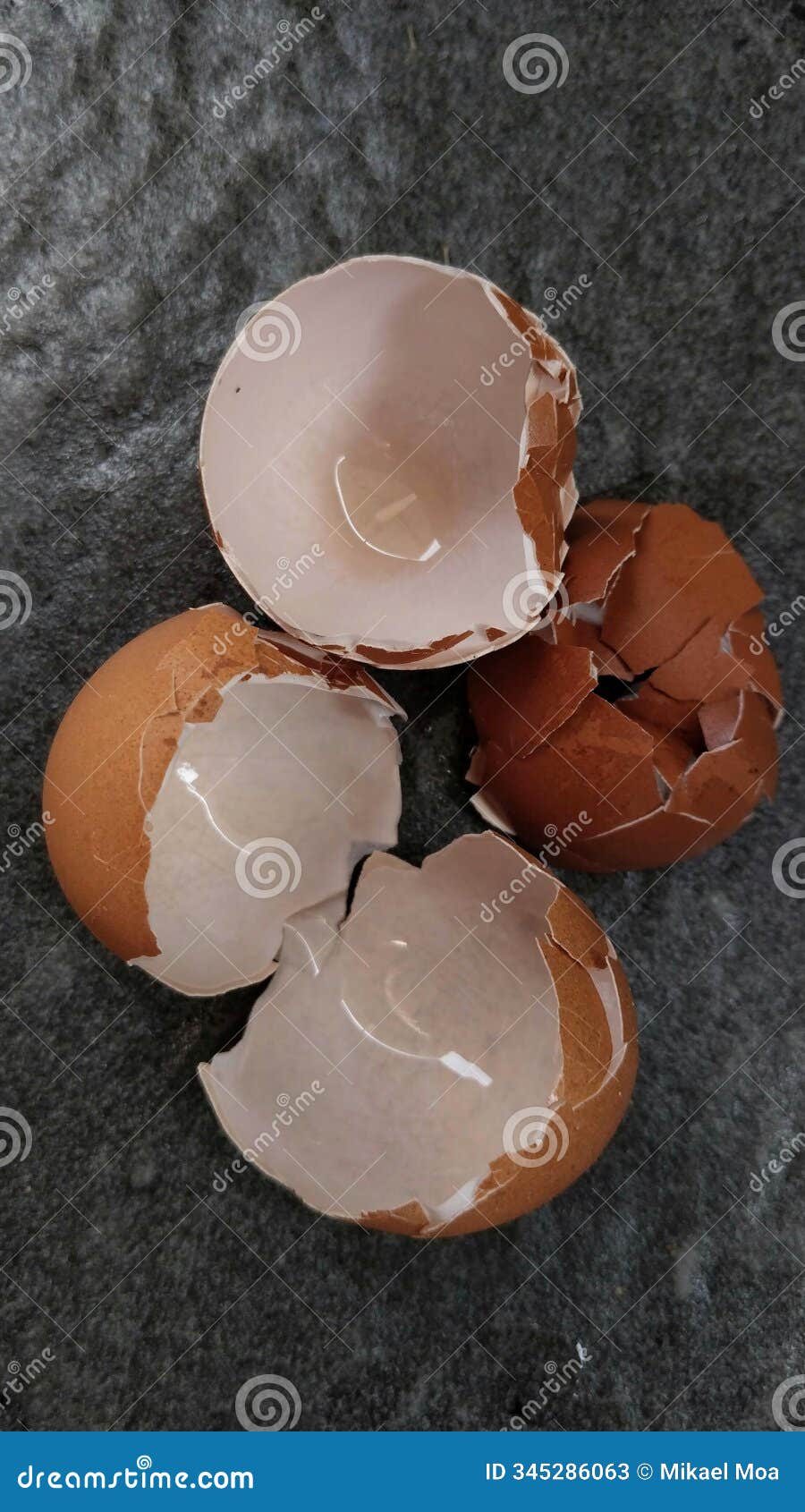 Chicken Egg Shell stock image. Image of shell, damage - 345286063