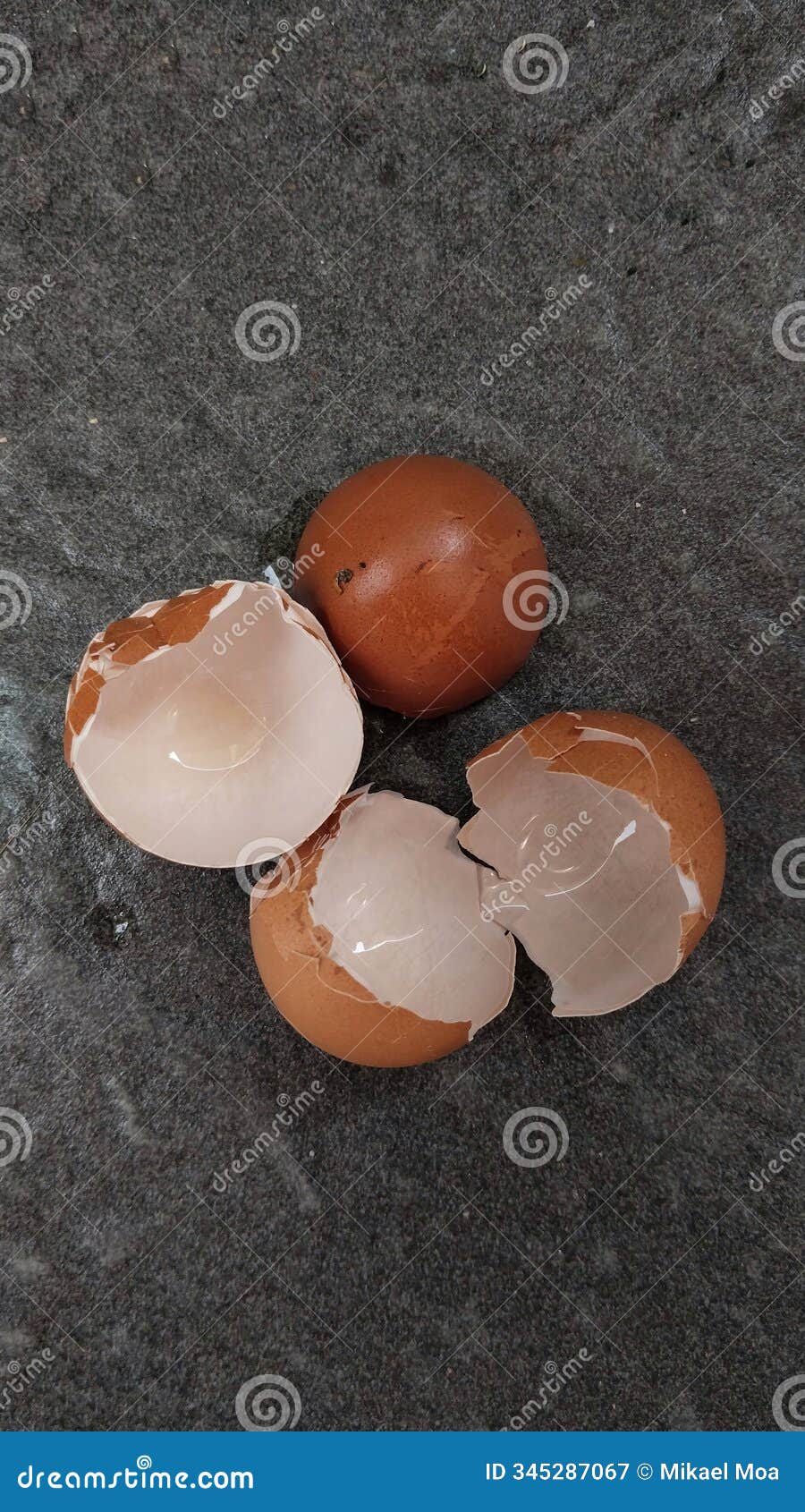 Chicken Egg Shell stock image. Image of layer, functions - 345287067