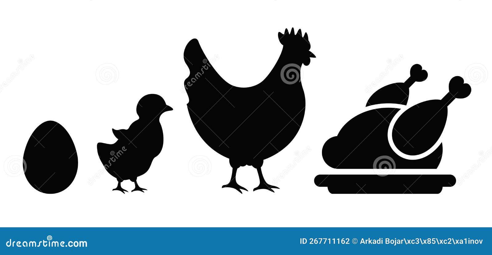 Chicken Evolution from Egg To Grill, Vector Illustration Stock Vector ...