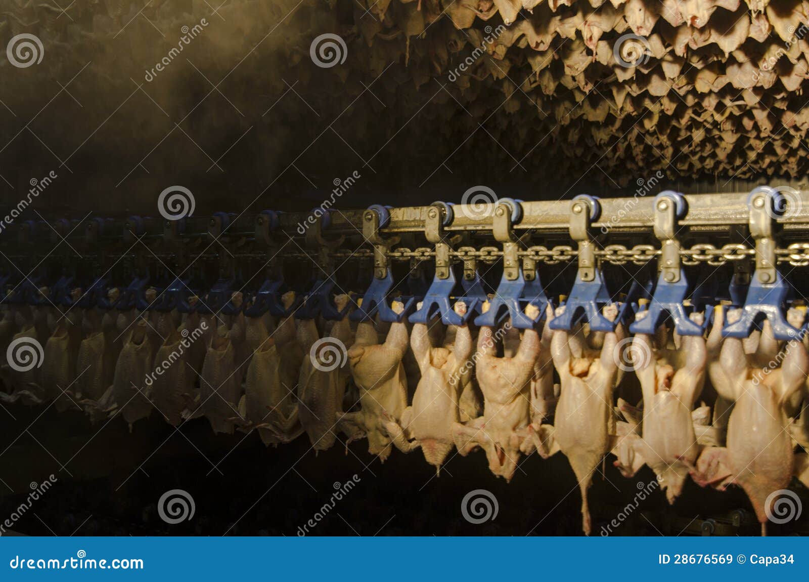 Chicken factory stock image. Image of meal, food, chicken - 28676569