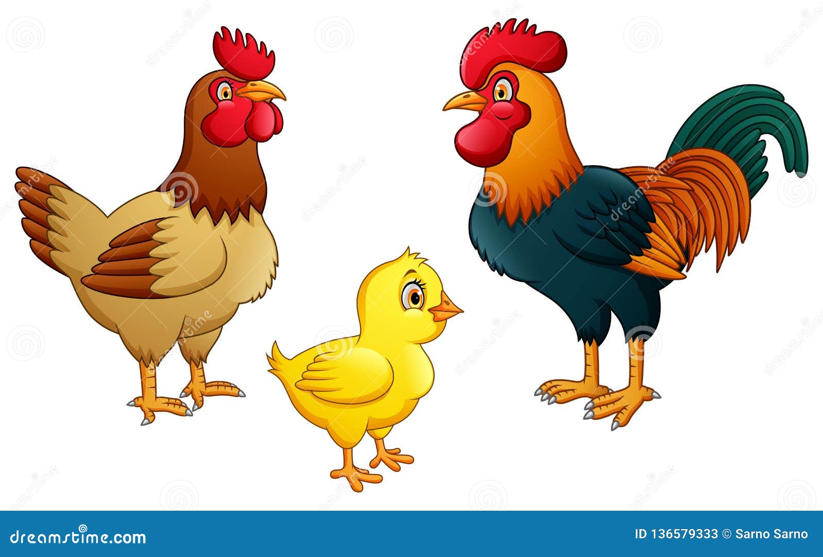Chicken Family on White Background Stock Vector - Illustration of ...