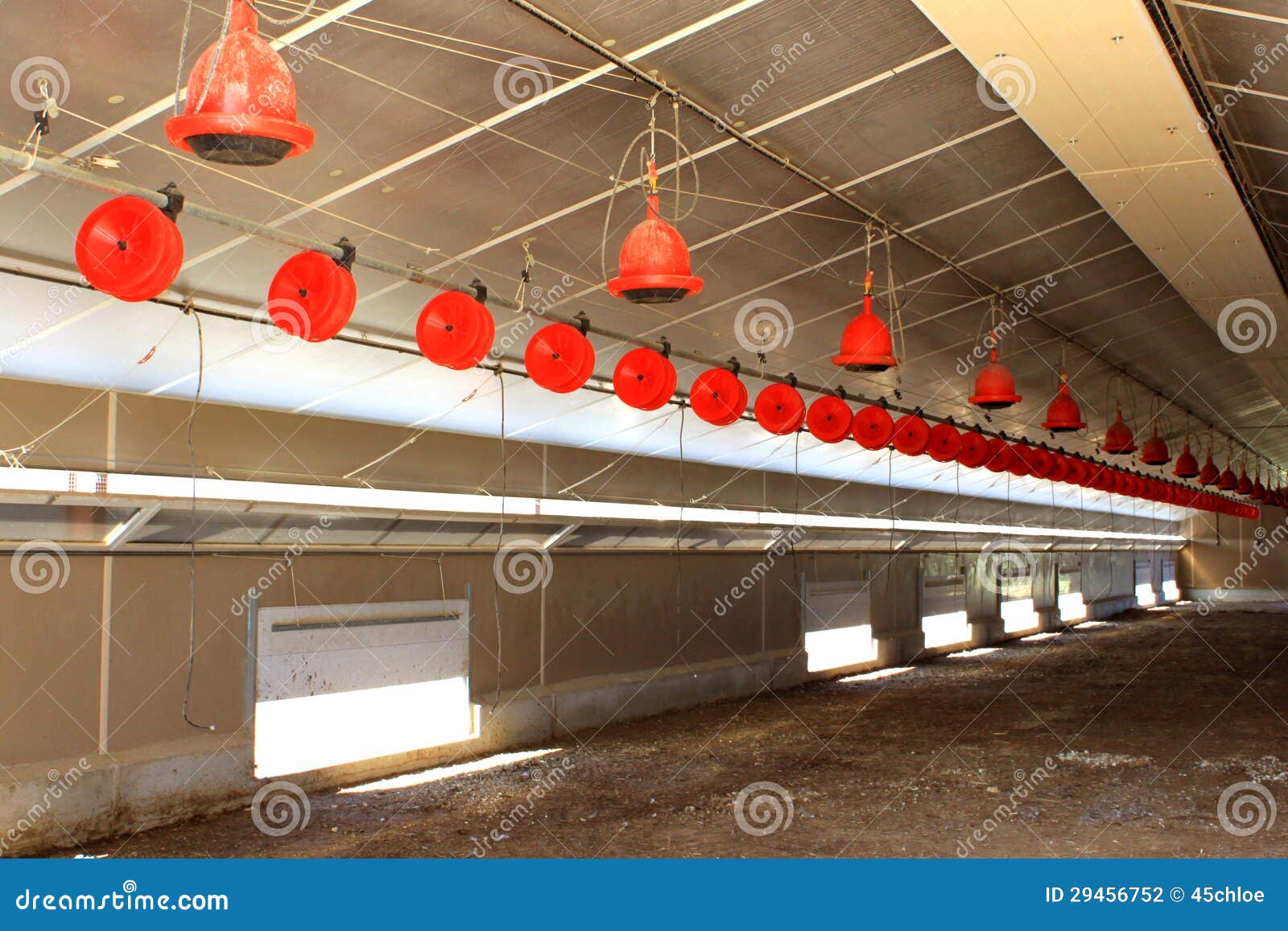 Chicken farm stock photo. Image of farming, panorama - 29456752
