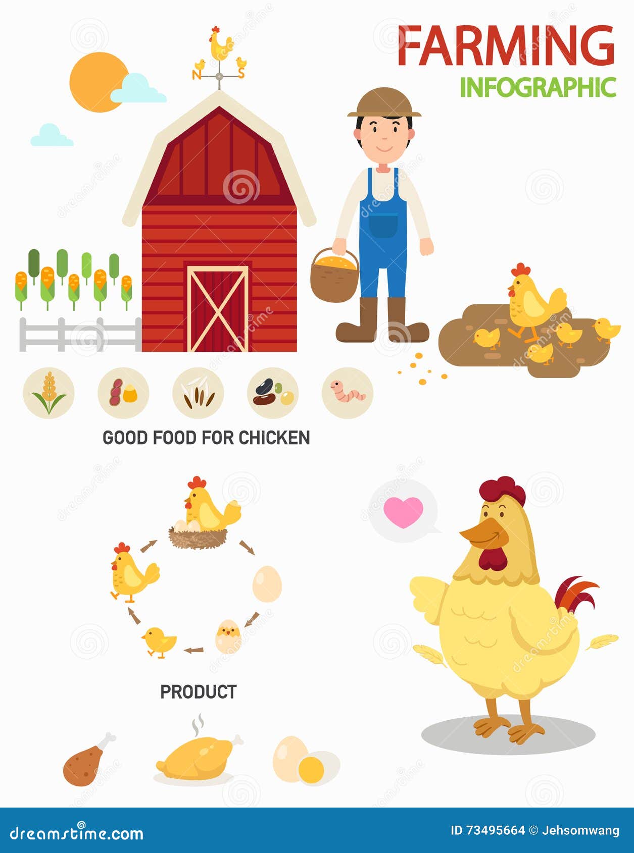 Chicken Farm Infographics,illustration Stock Vector - Illustration of ...