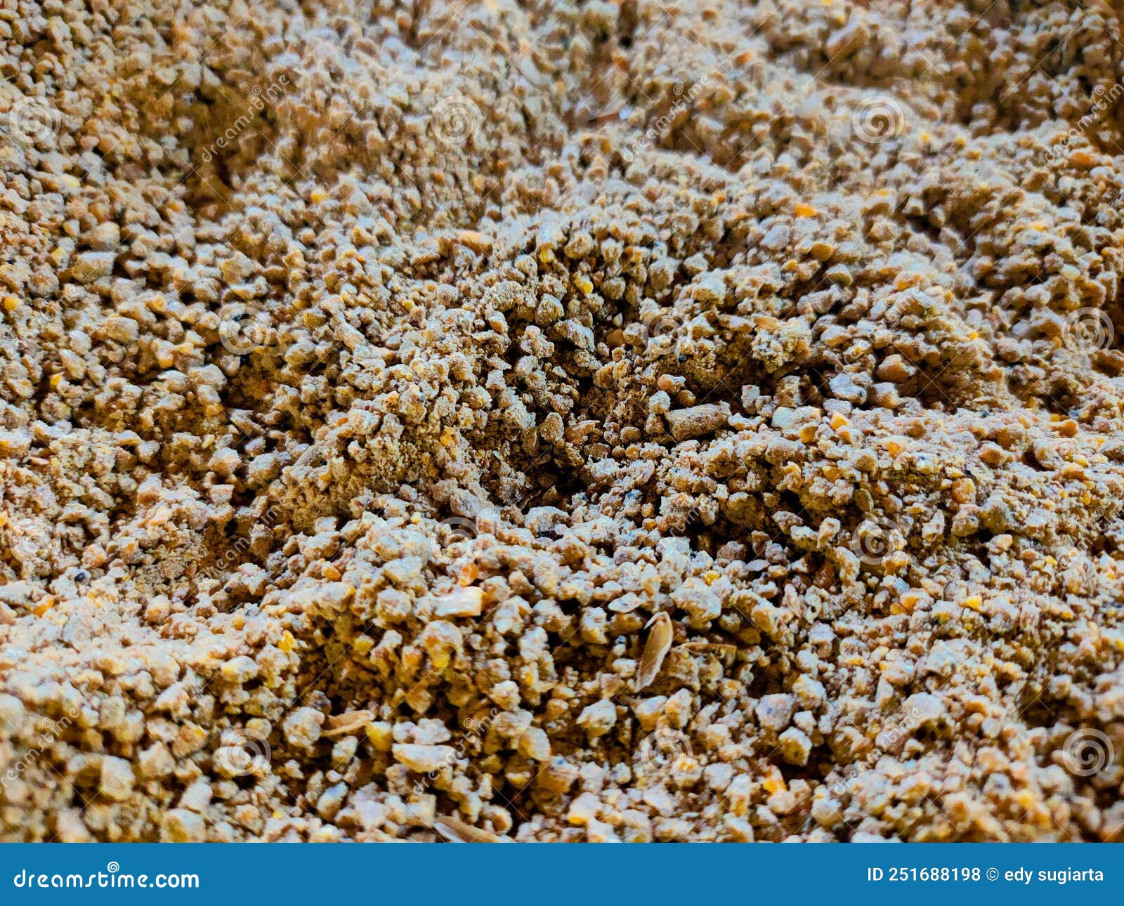 Chicken Feed in the Form of Granules Consisting of Corn and Other ...