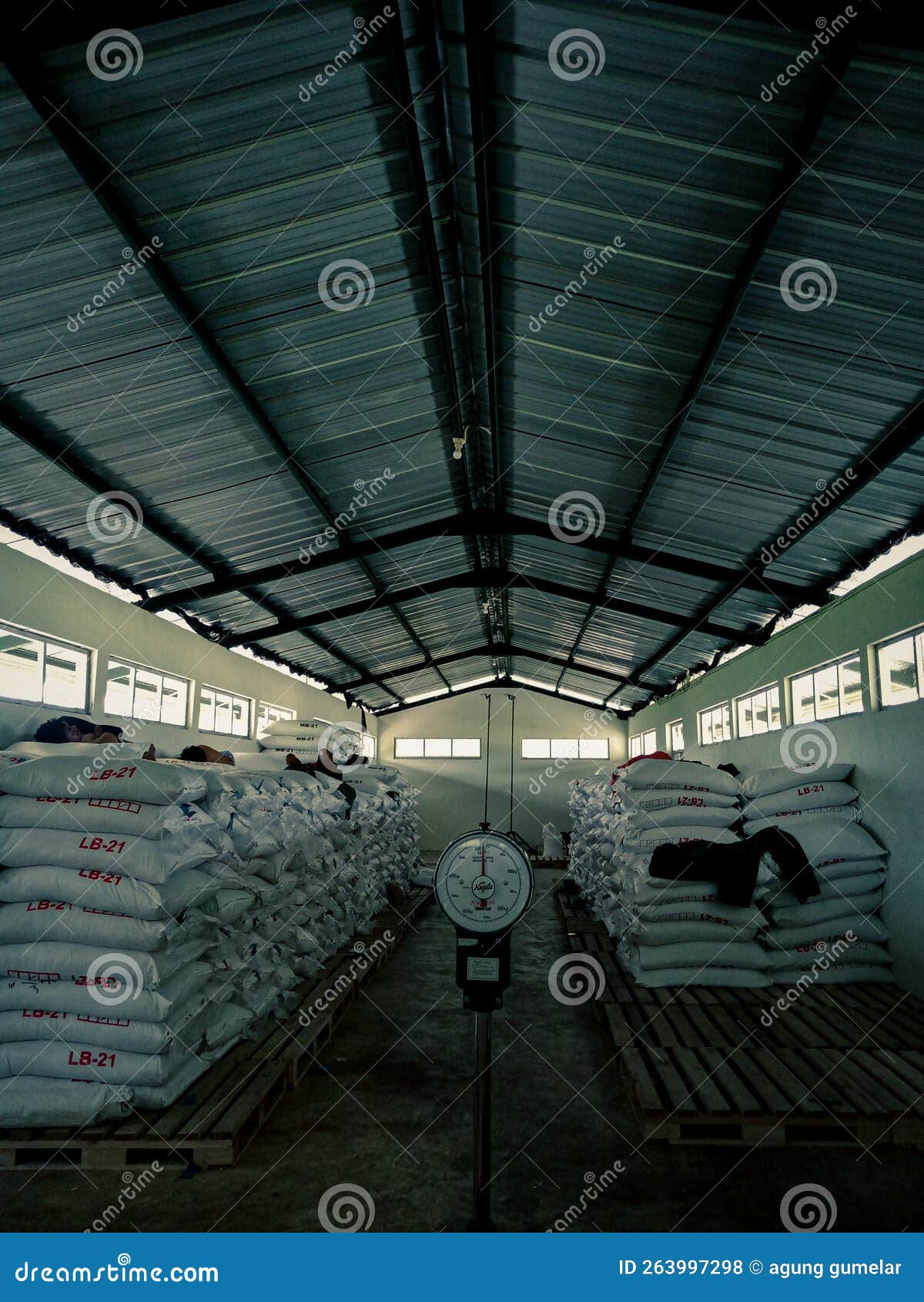 Chicken feed store editorial stock photo. Image of padma - 263997298