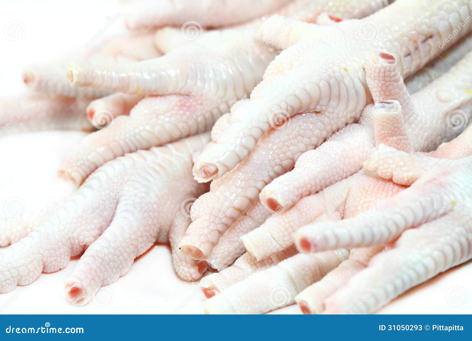 Chicken feet stock image. Image of chicken, legs, tasty - 31050293