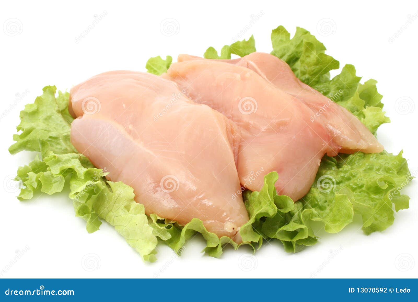 Chicken fillets stock photo. Image of animal, breasts - 13070592