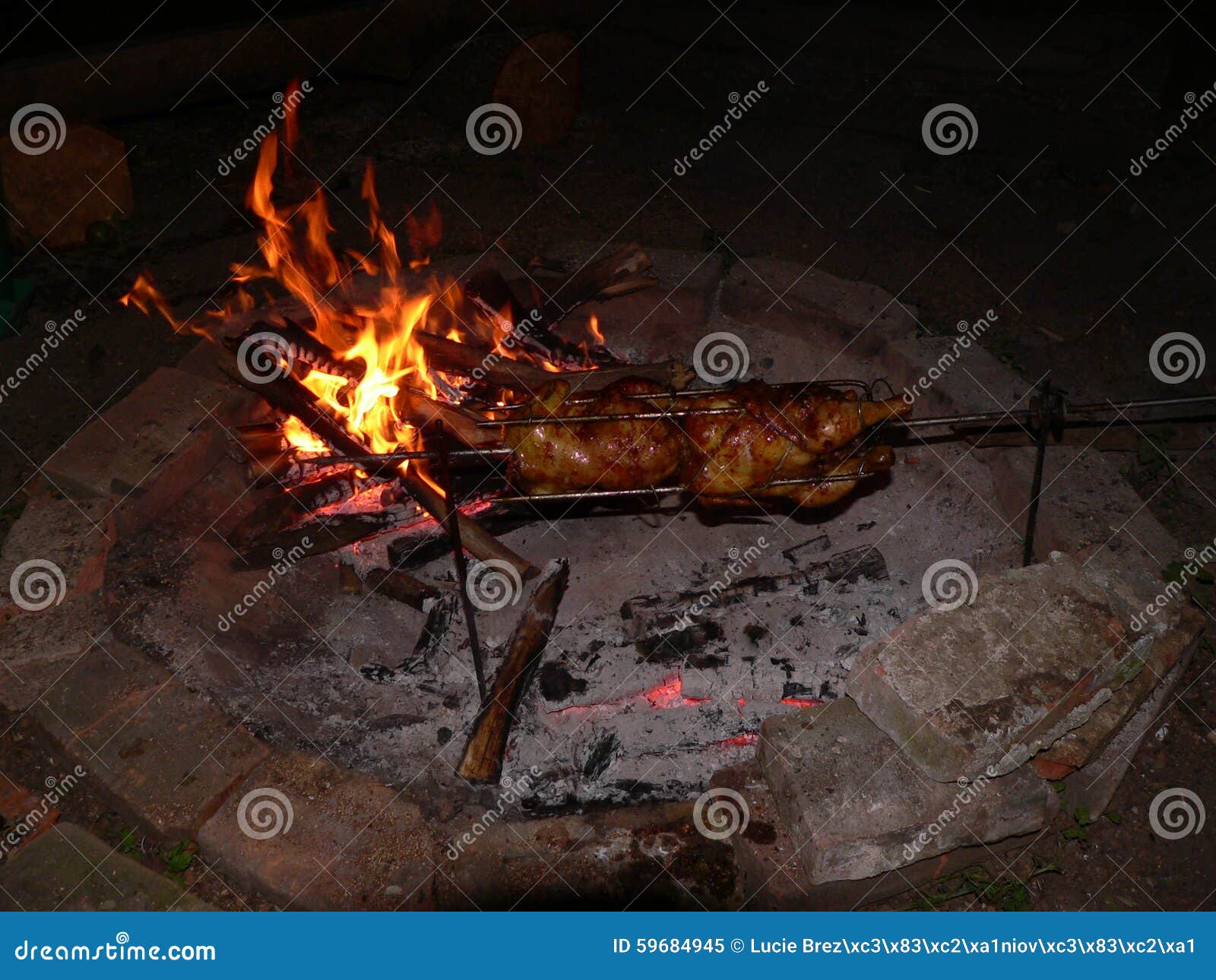 Chicken on fire stock image. Image of chicken, drumstick - 59684945