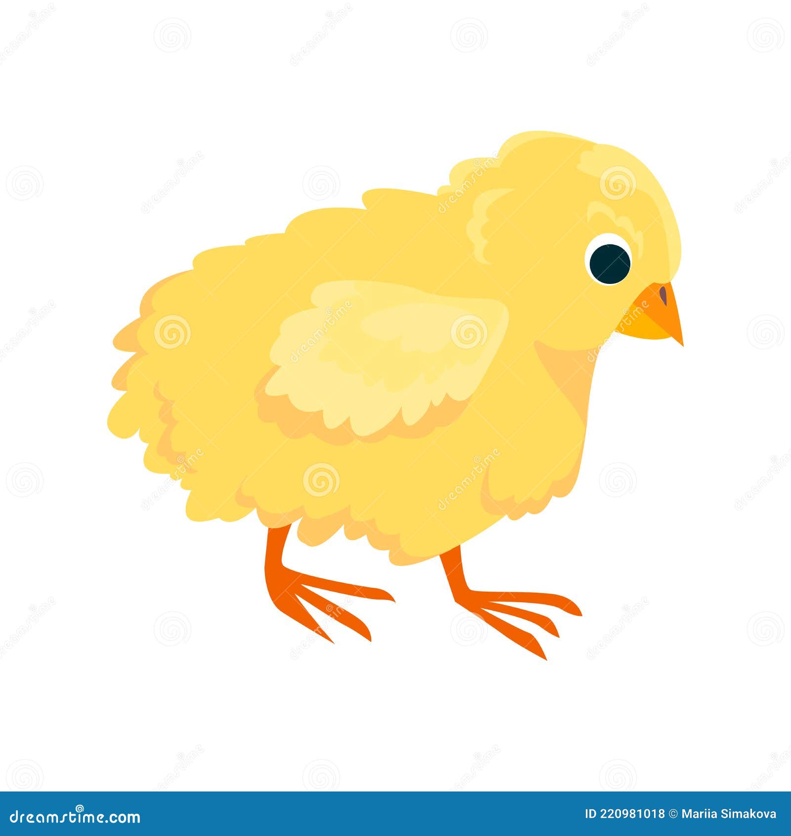 Chicken Flat Icon. Colored Vector Element from Birds Collection ...