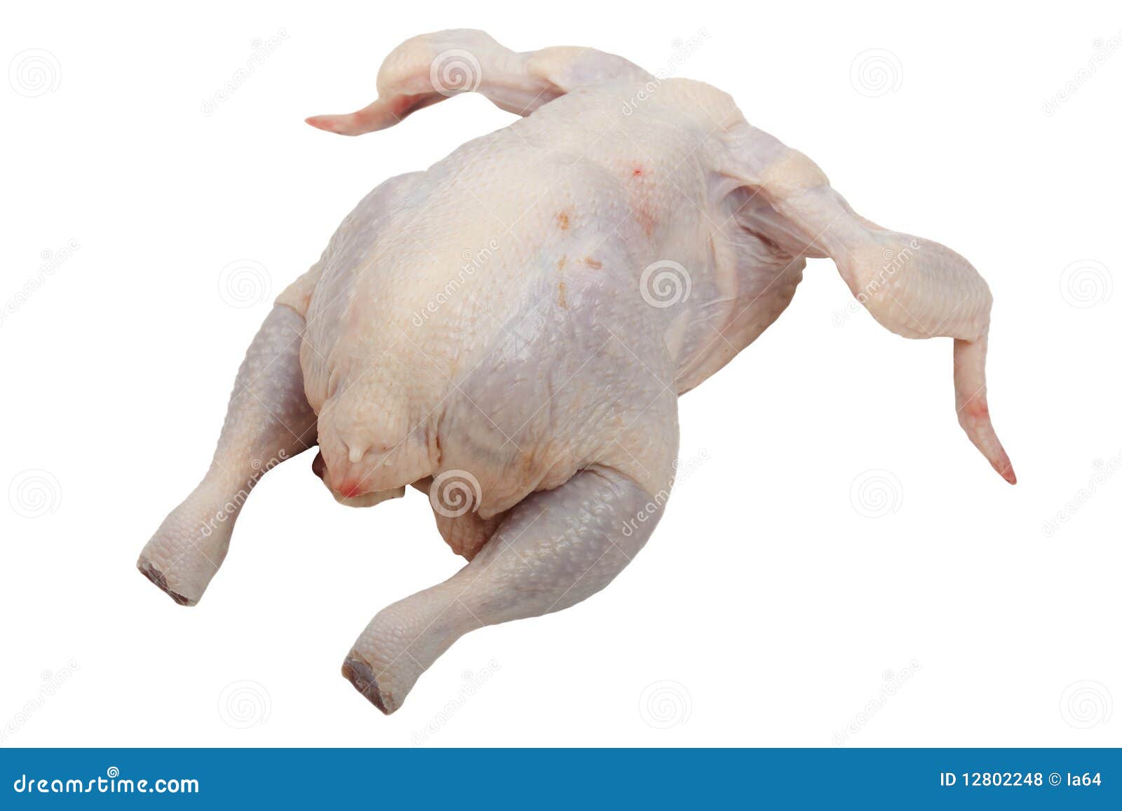 Chicken food stock photo. Image of lunch, meat, freshness - 12802248